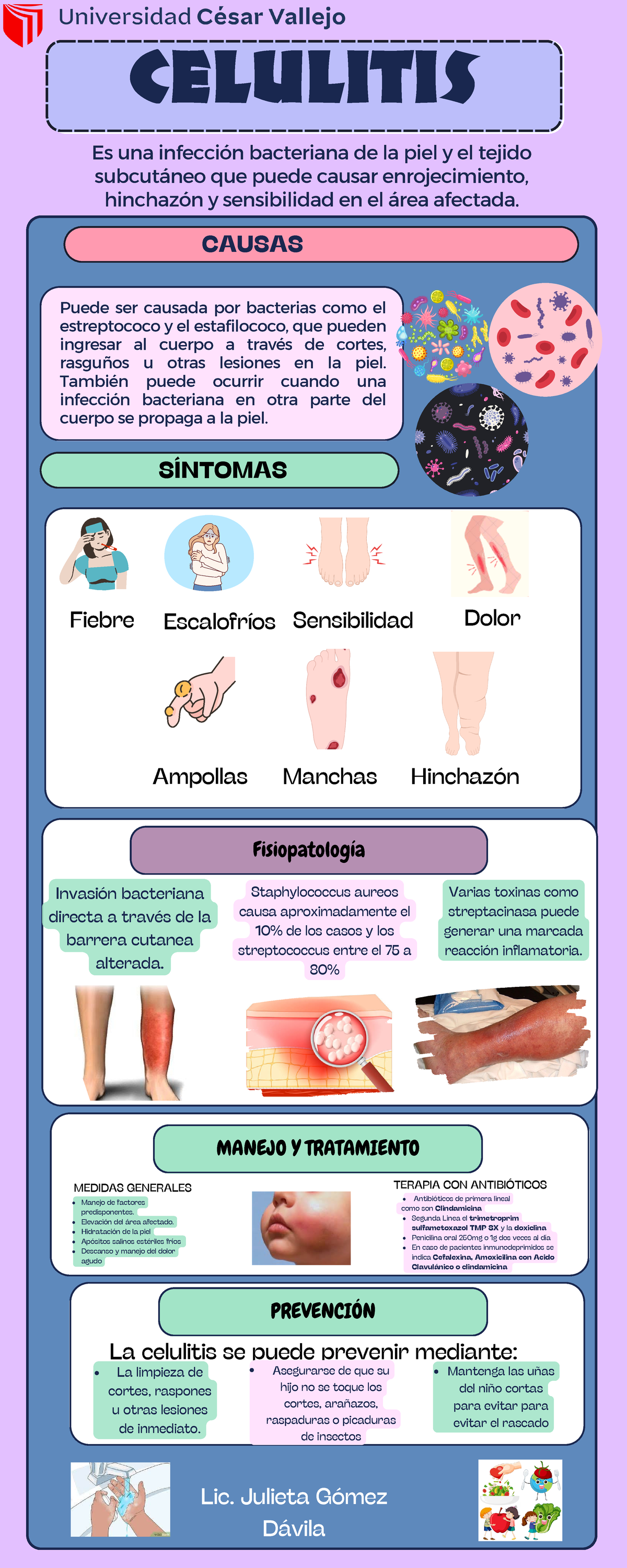 Celulitis - medida que las células grasas aumentan, se empujan contra ...