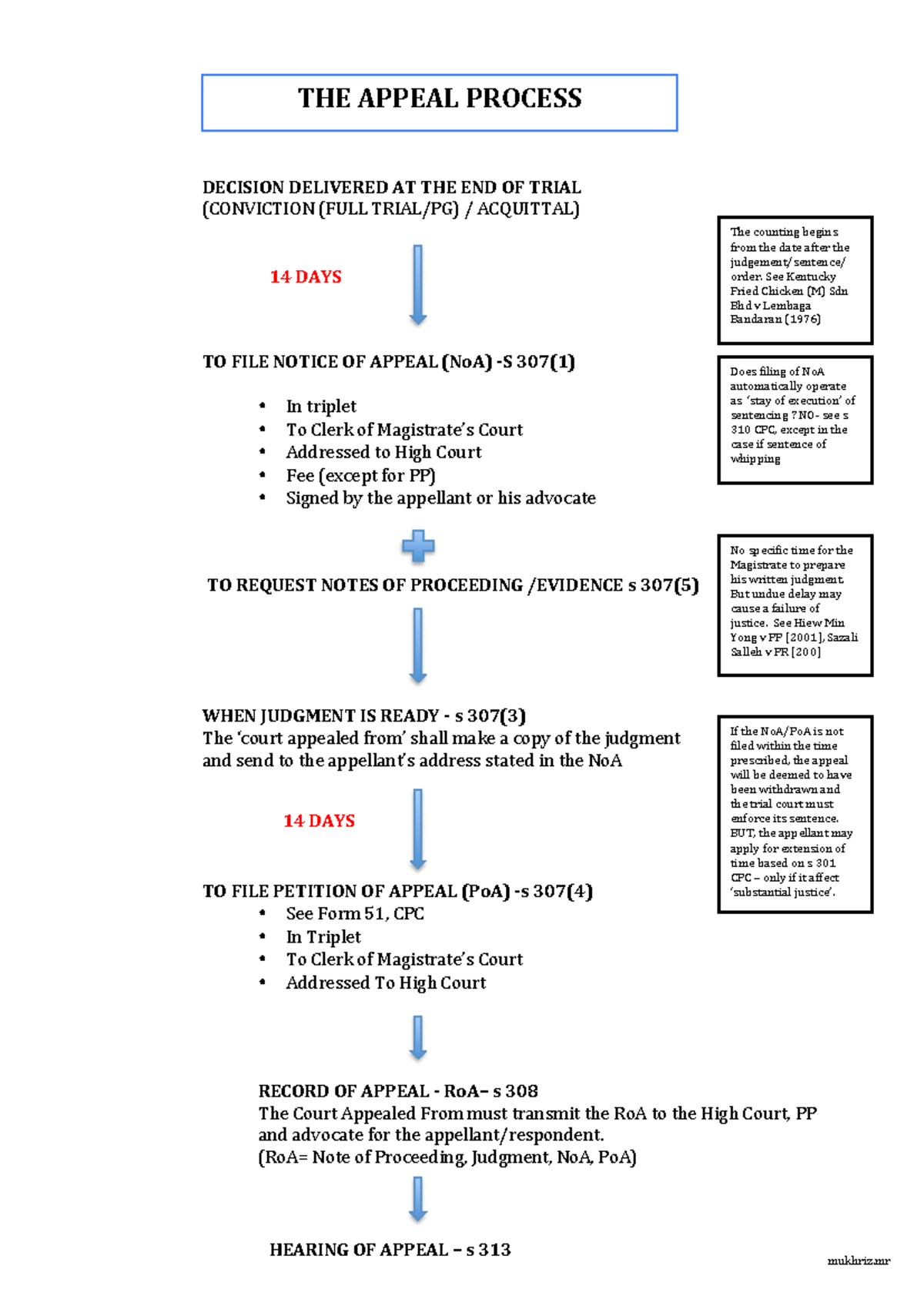 Appeal Chart for Criminal Case - DECISION DELIVERED AT THE END OF TRIAL ...