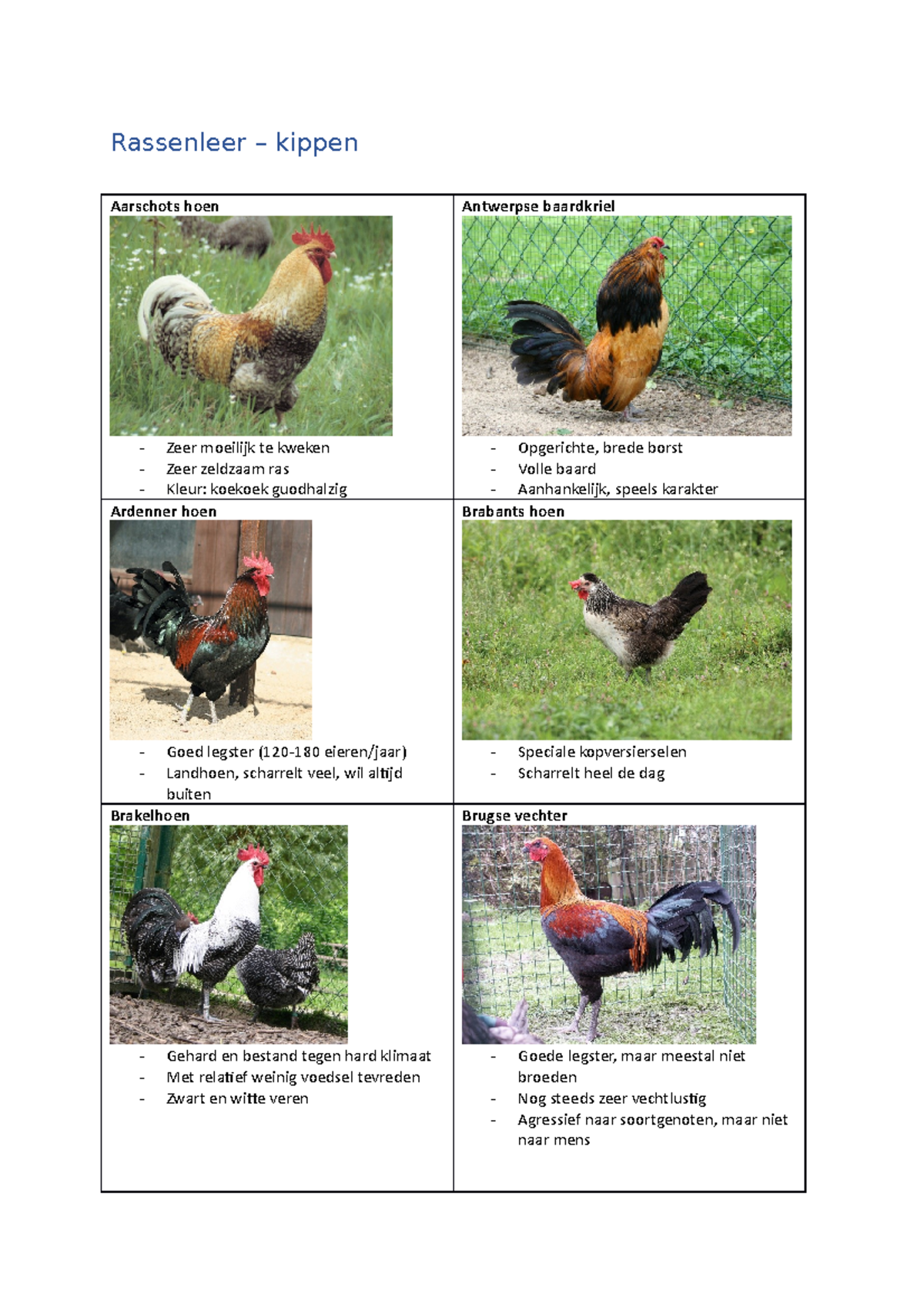 Rassenleer - kip - Rassenleer – kippen Aarschots hoen Zeer moeilijk te ...
