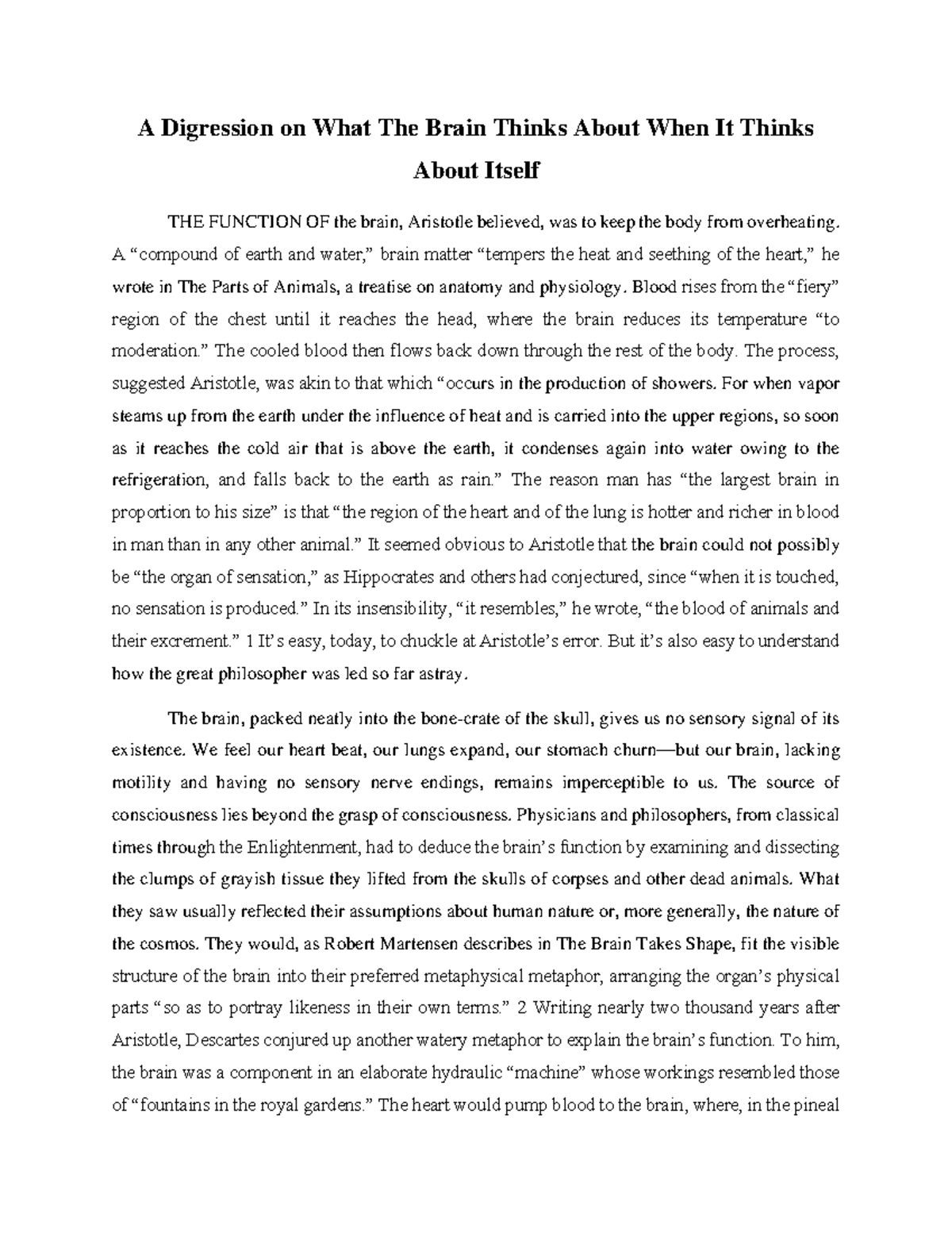 A Digression on What The Brain Thinks About When It Thinks About Itself ...