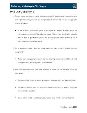Simple Staining - Lab report - Simple Staining Written by: Kathleen ...
