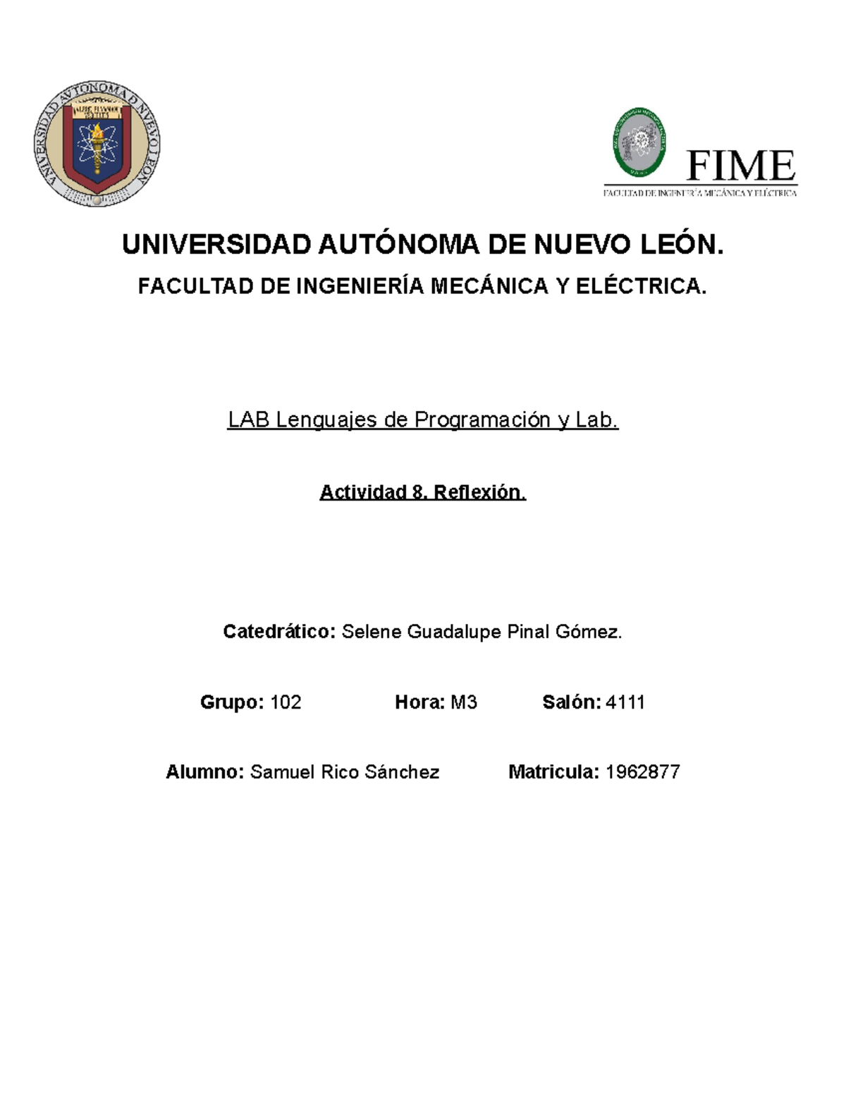 Reflexion - Lenguajes De Programación Y Laboratorio - UNIVERSIDAD ...