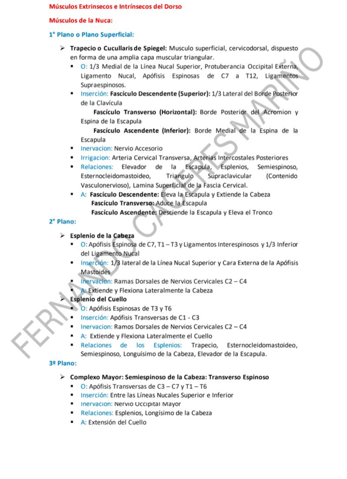 Musculos SEMANA 13 - Músculos Extrinsecos e Intrínsecos del Dorso ...
