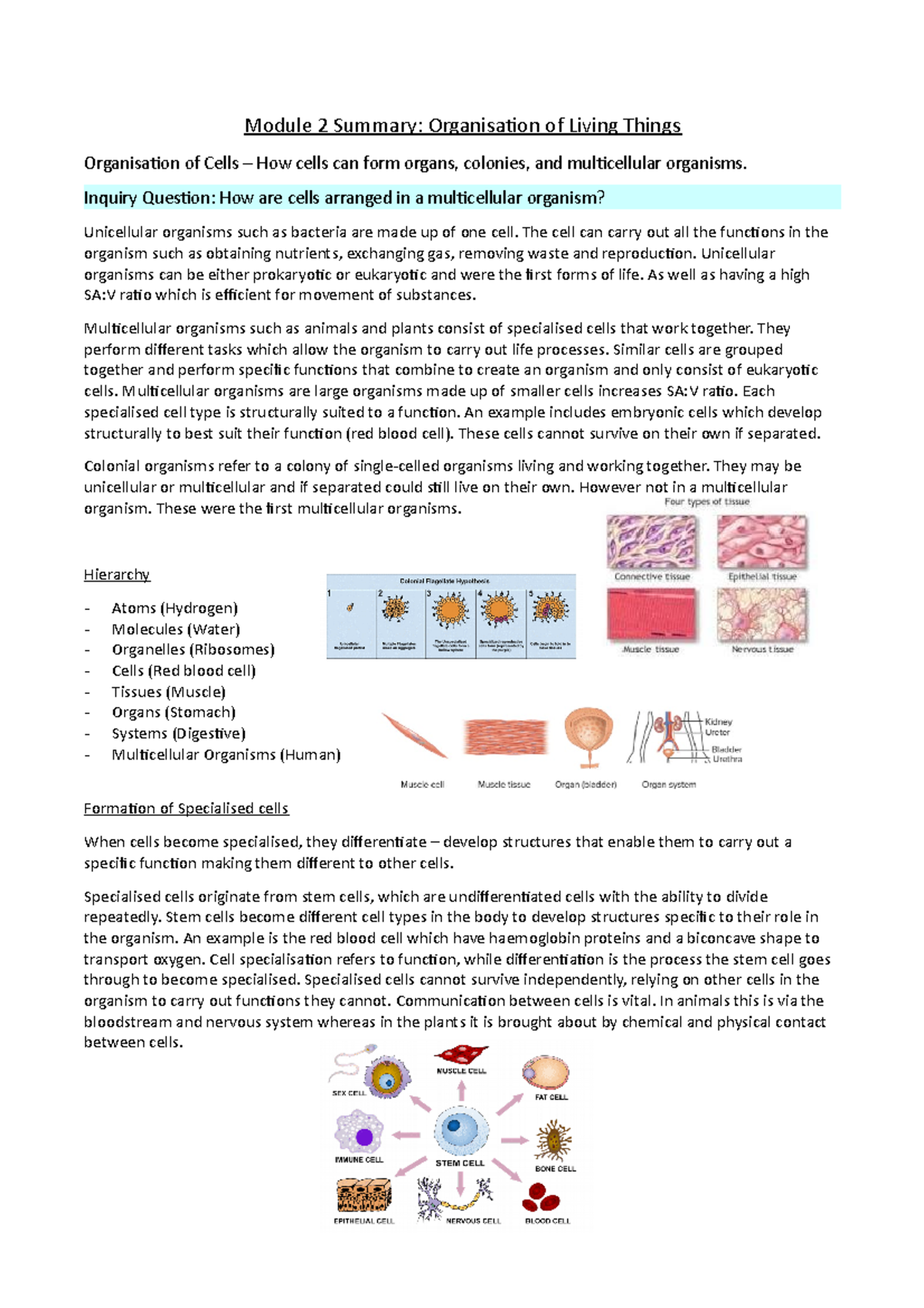 Module 2 Organisation of Living Things Summary - Module 2 Summary ...