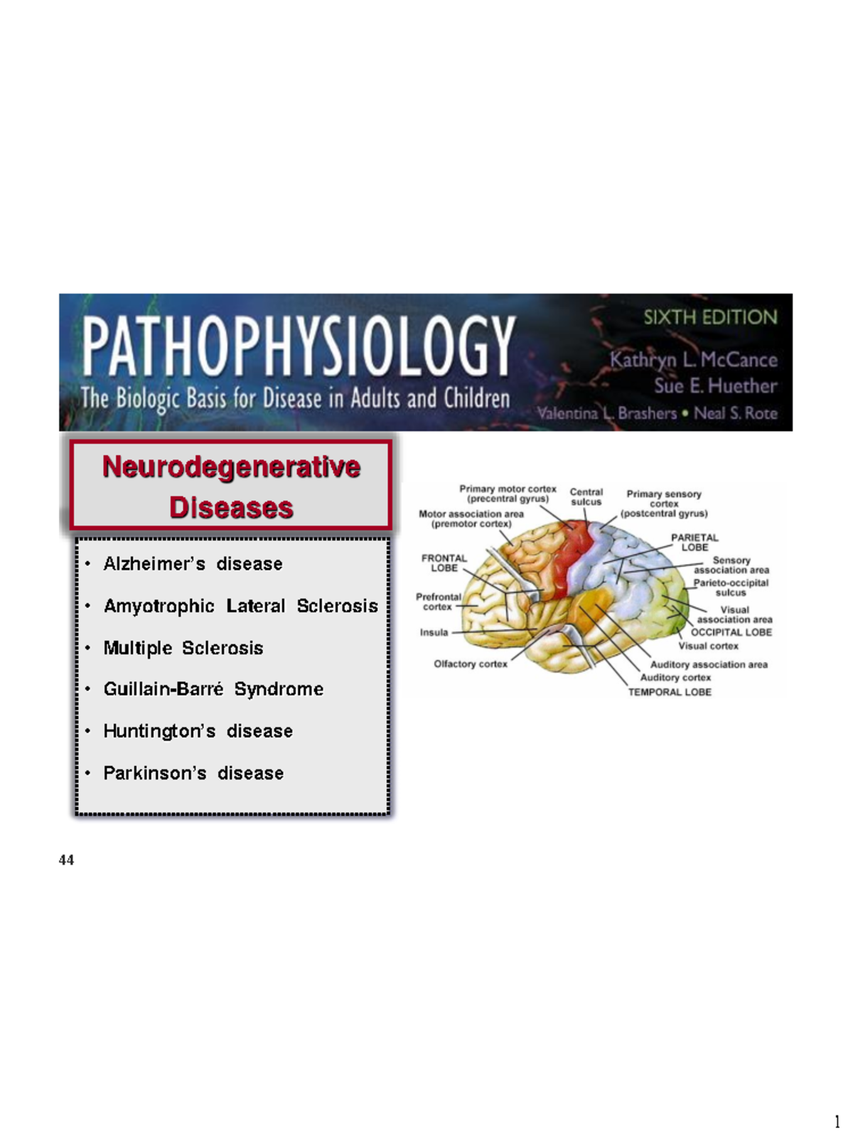 Module 3 PPT slides part I - ####### Neurodegenerative ####### Diseases ...
