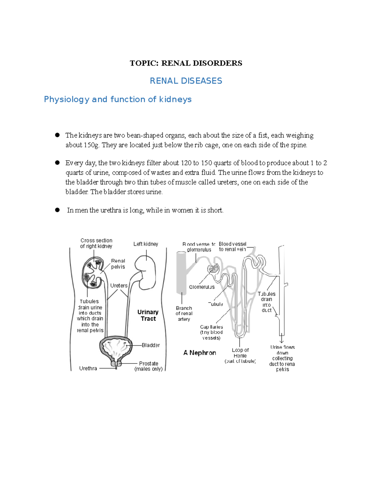 Renal Disorders - notes - TOPIC: RENAL DISORDERS RENAL DISEASES ...