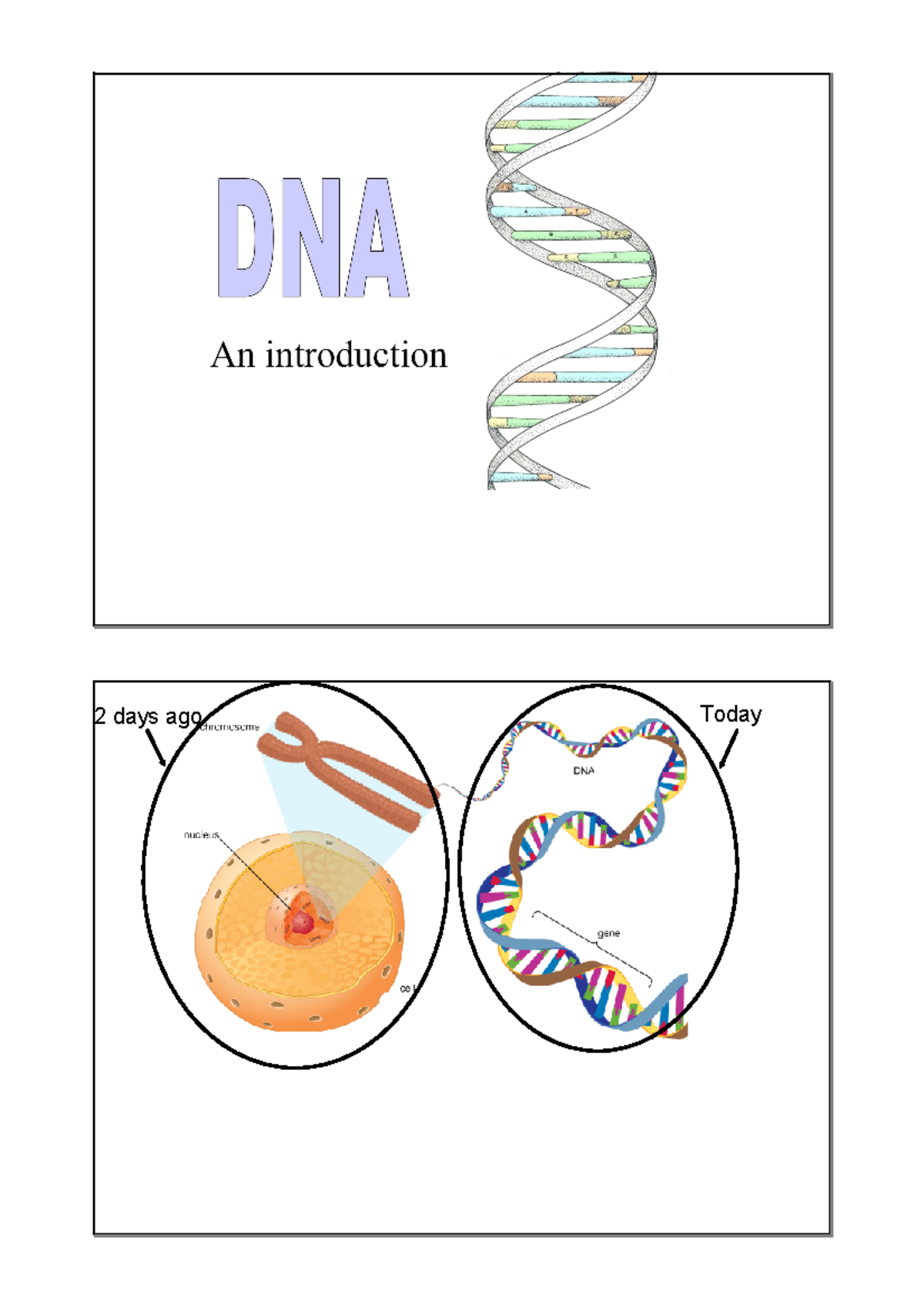 2-DNA ALL MY Slides - practice - 2 days ago Today DNA INTRODUCTION Do ...