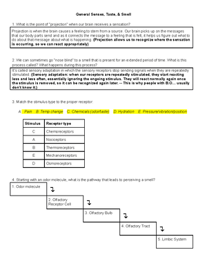 Estimating height from long bones - Investigation: Can You Estimate a ...