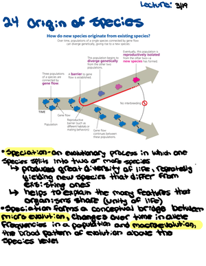 Chem 032 Experiment 8 Post-Lab - CHEM 032 Experiment 8 Post-Lab Name