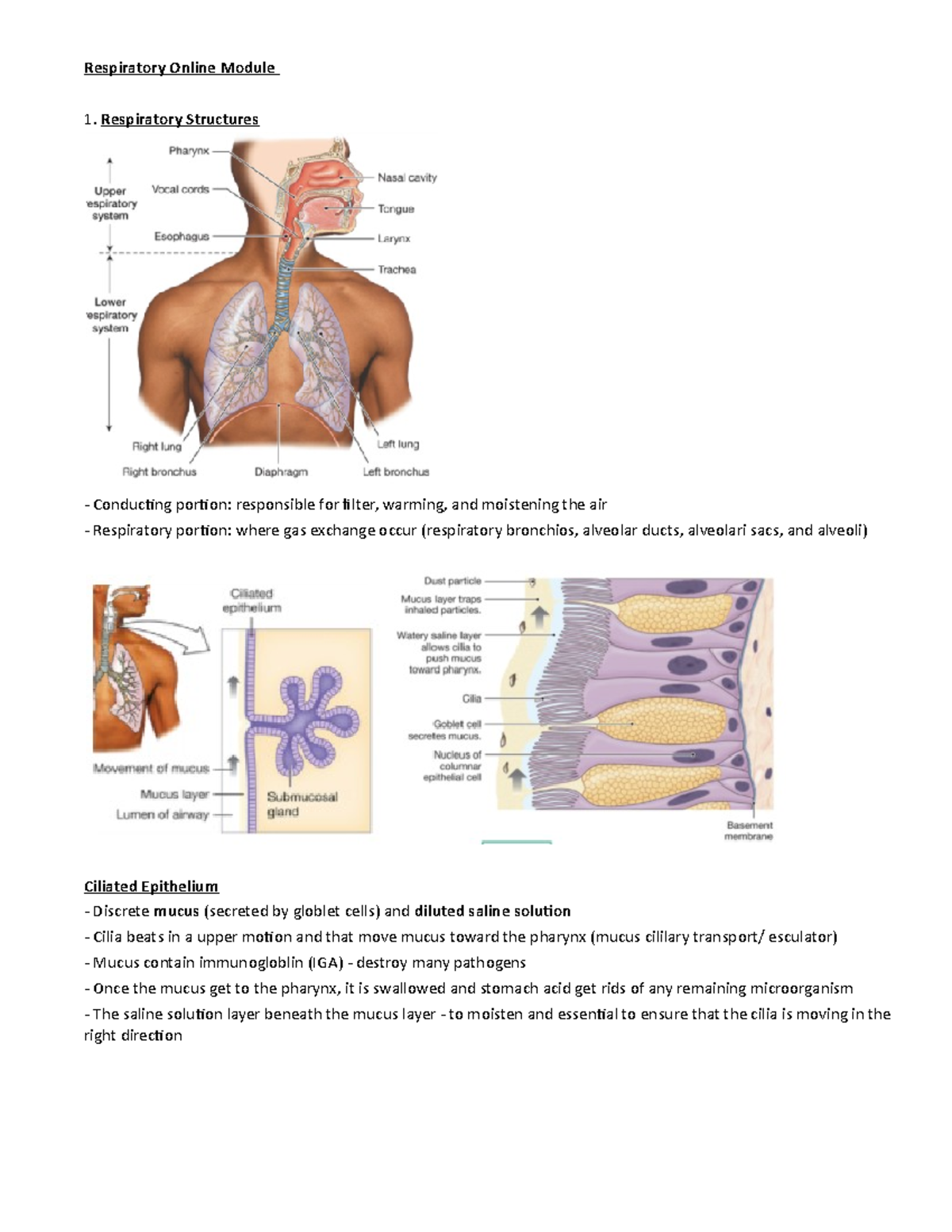 Respiratory Online Module - Respiratory Online Module Respiratory ...