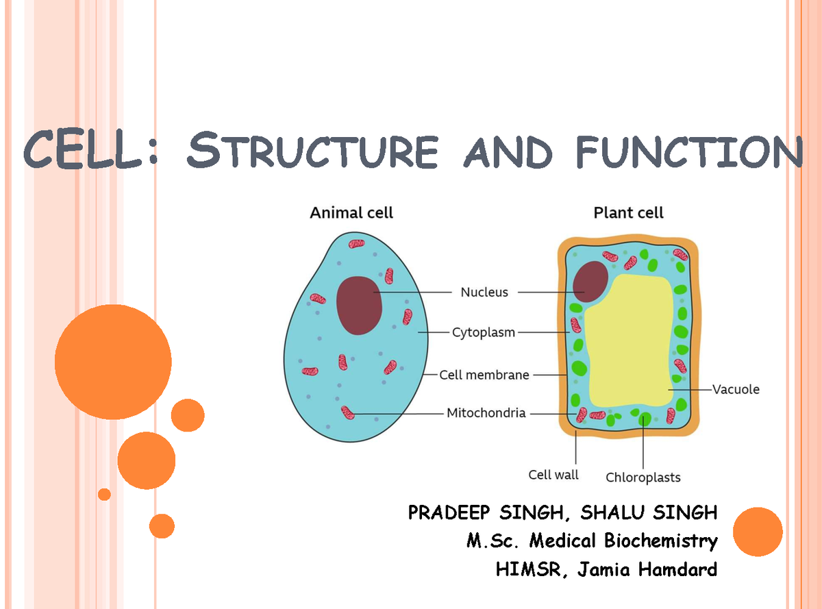 Cell structure 2 - Science - CELL: STRUCTURE AND FUNCTION PRADEEP SINGH ...
