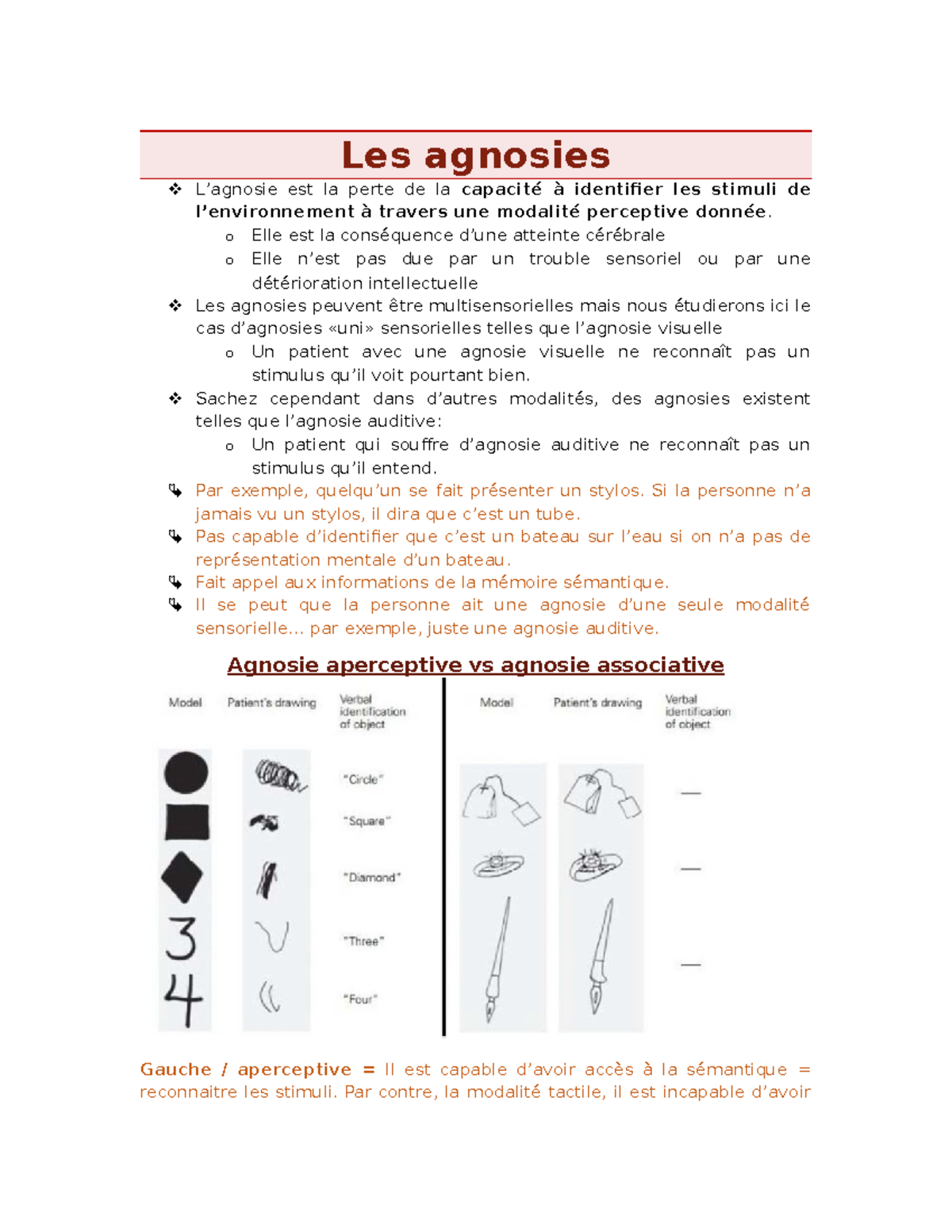Agnosies - Prof: Benjamin Boller - Les agnosies L’agnosie est la perte ...