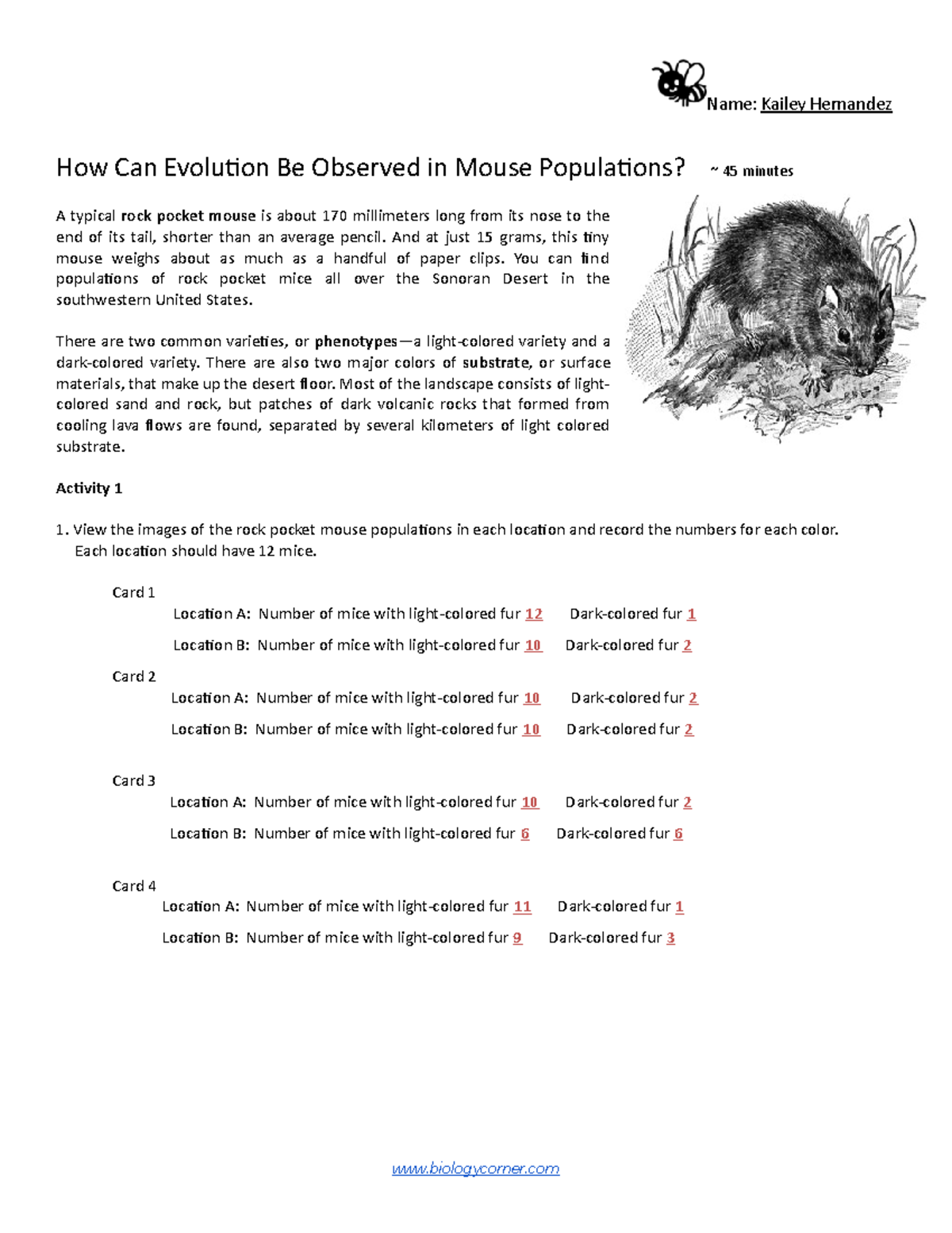 Rock Pocket Mouse (bee) evolution activity-3 - Name: Kailey Hernandez ...