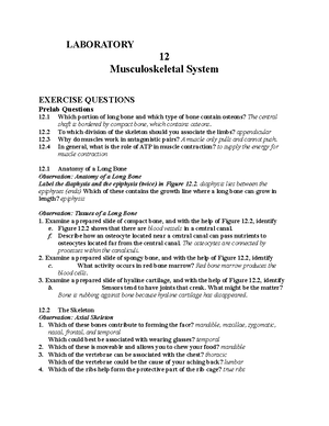 BIOL 117 Report 2 Digestion - Lab Report 2: Experiment 9 – Chemical ...