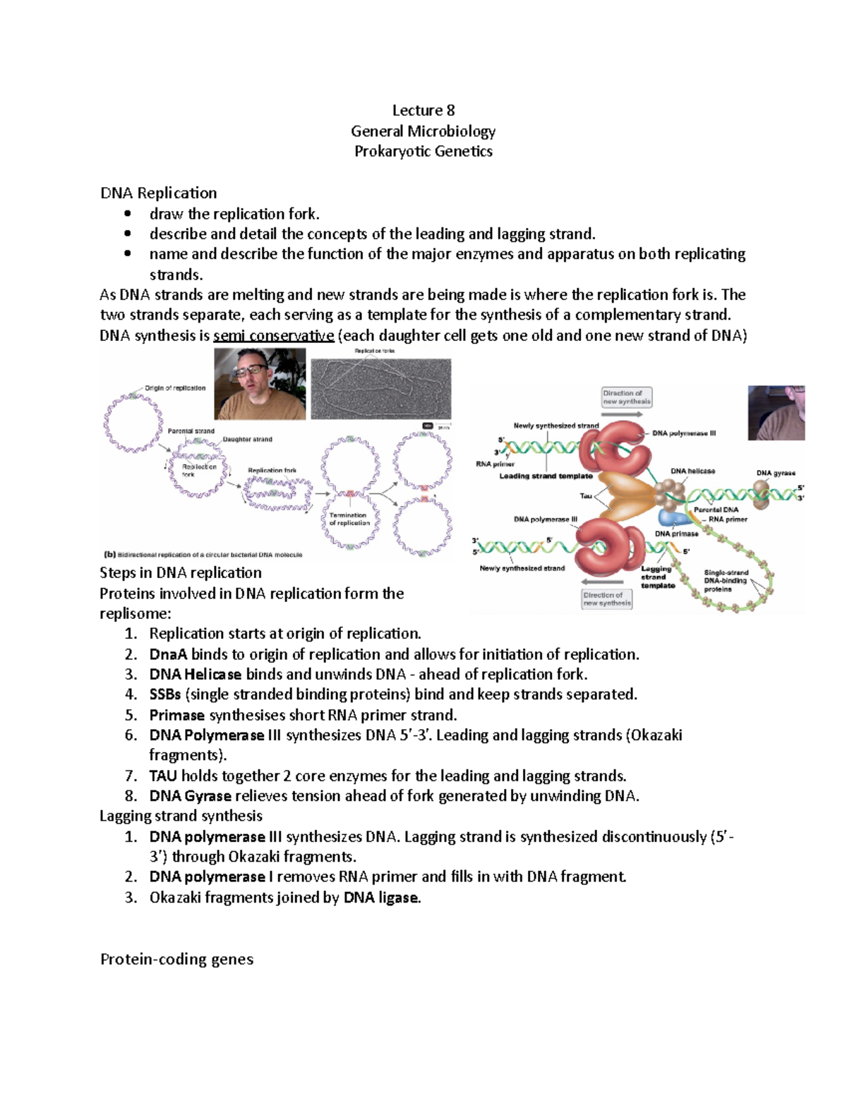 Lecture 8 - Lecture 8 General Microbiology Prokaryotic Genetics DNA ...