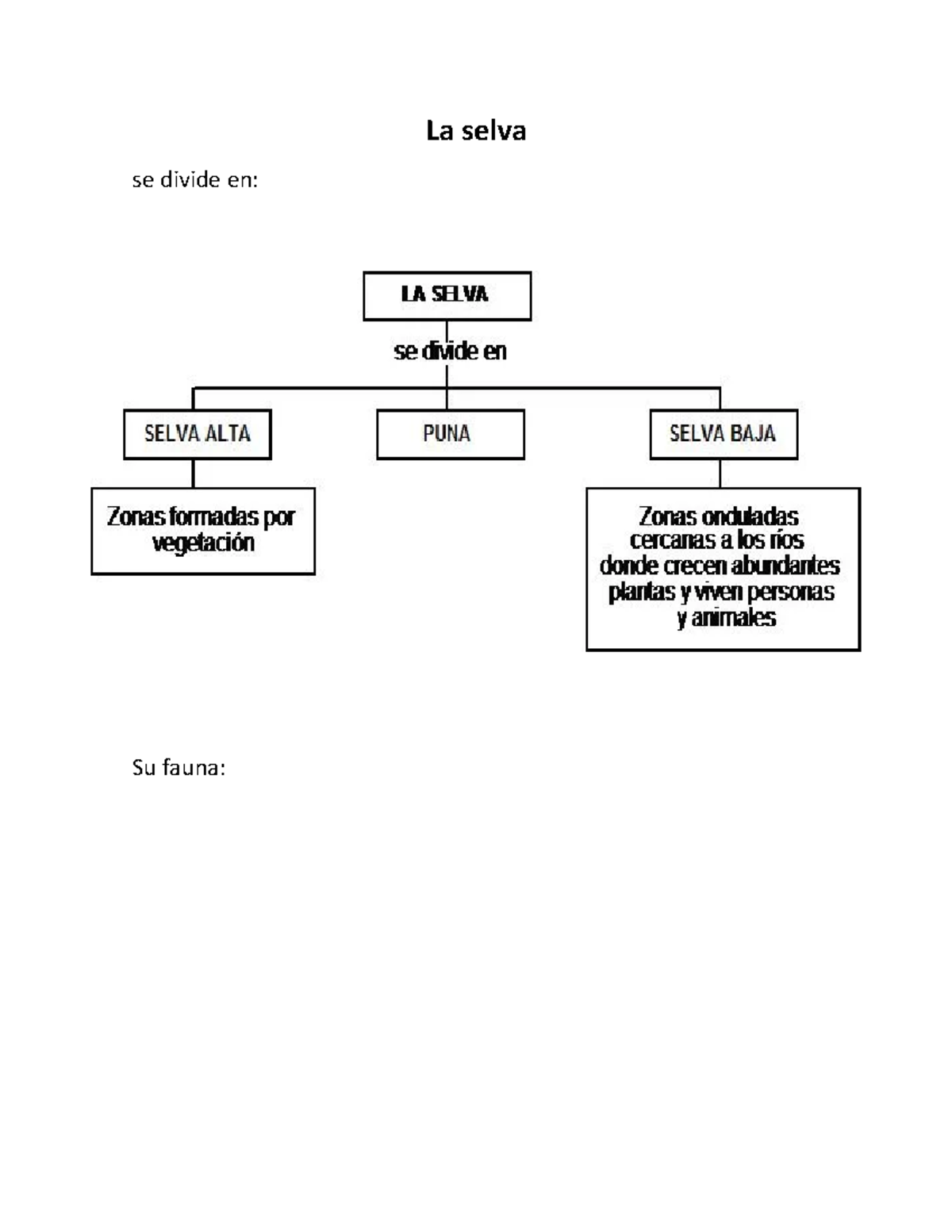 La selva - esquema - Desarrollo Humano y Social - La selva se divide en ...