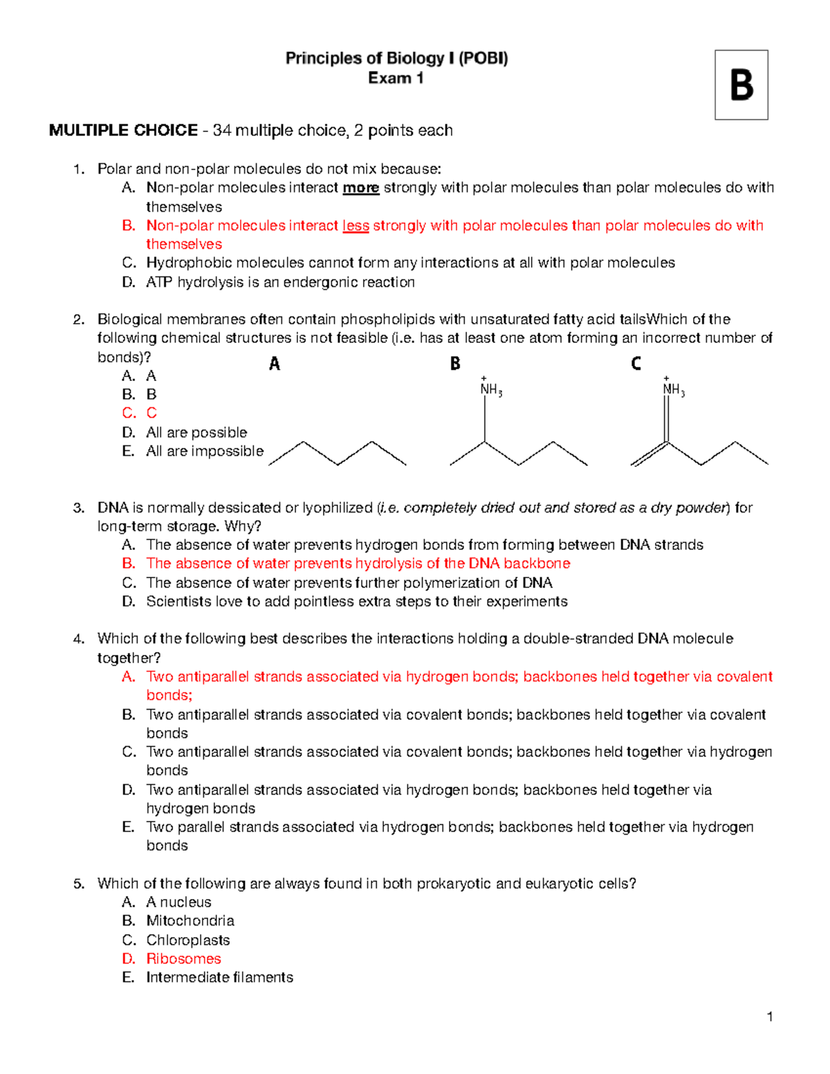 POB Exam 1B - KEY - practice material for the exams/ materials and ...