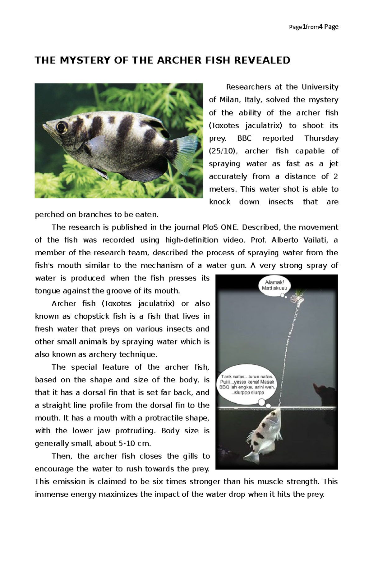 THE Mystery OF THE Archer FISH Revealed - THE MYSTERY OF THE ARCHER ...