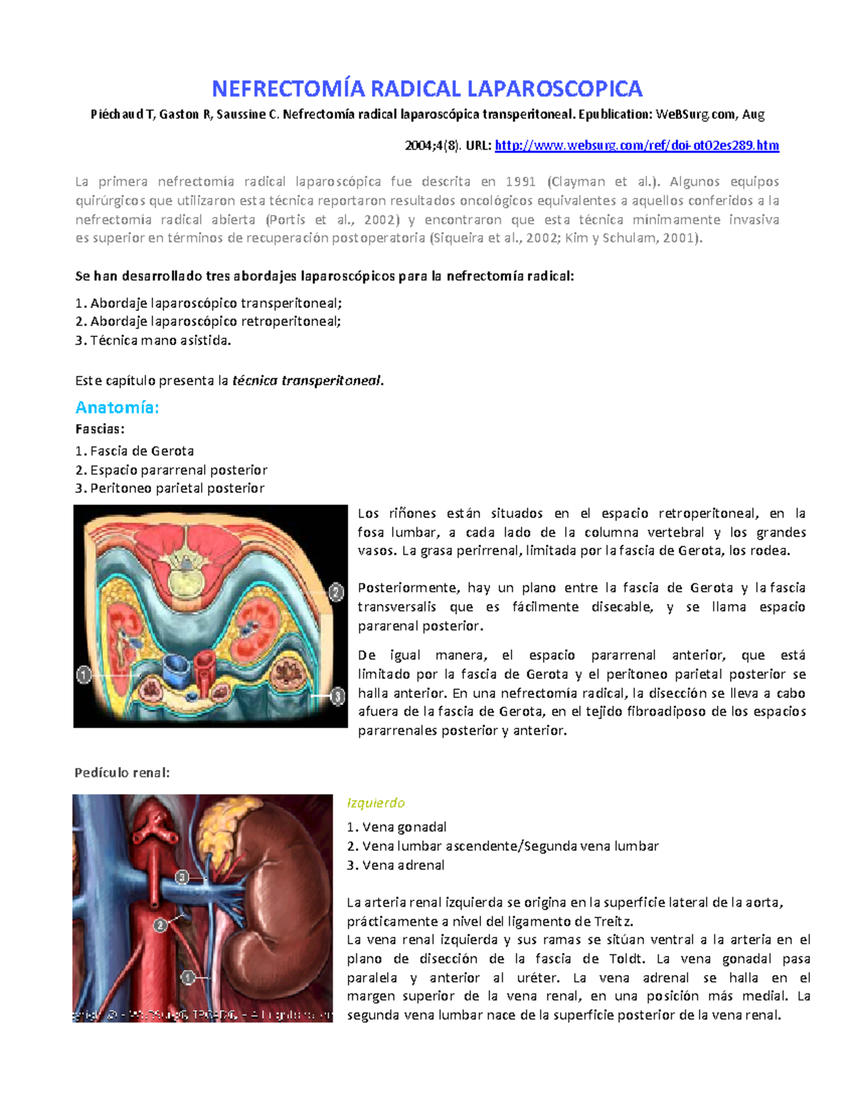 Nefrectomia radical laparoscopica- dcha e izq - NEFRECTOMÍA RADICAL ...