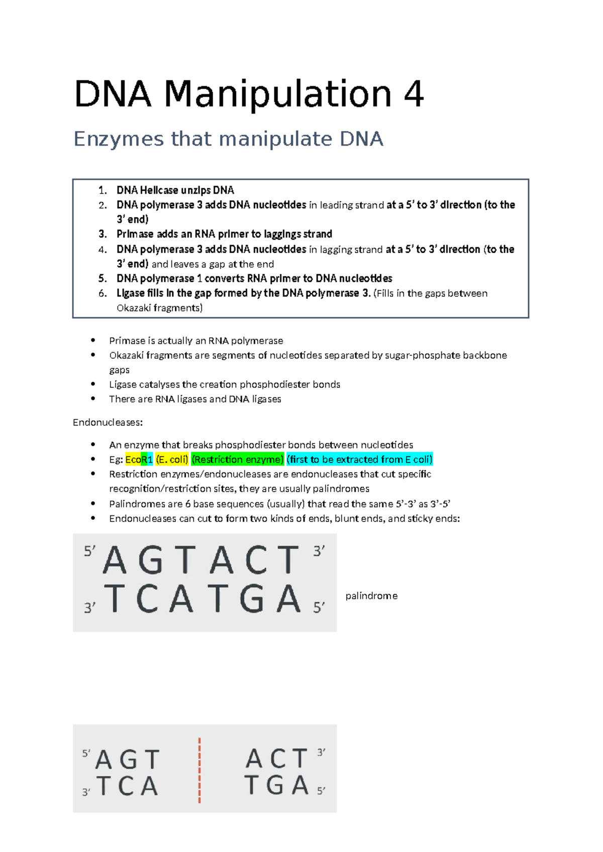 biology dna manipulation notes unit 3 - DNA Manipulation 4 Enzymes that ...
