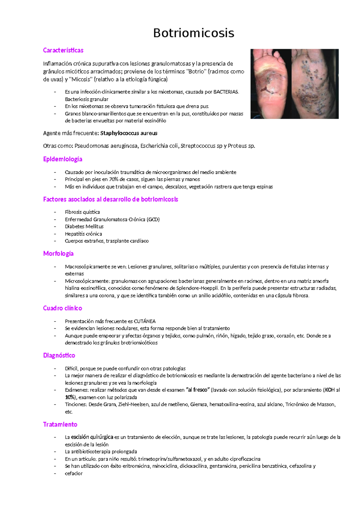 2. Botriomicosis - Botriomicosis Características Inflamación crónica ...