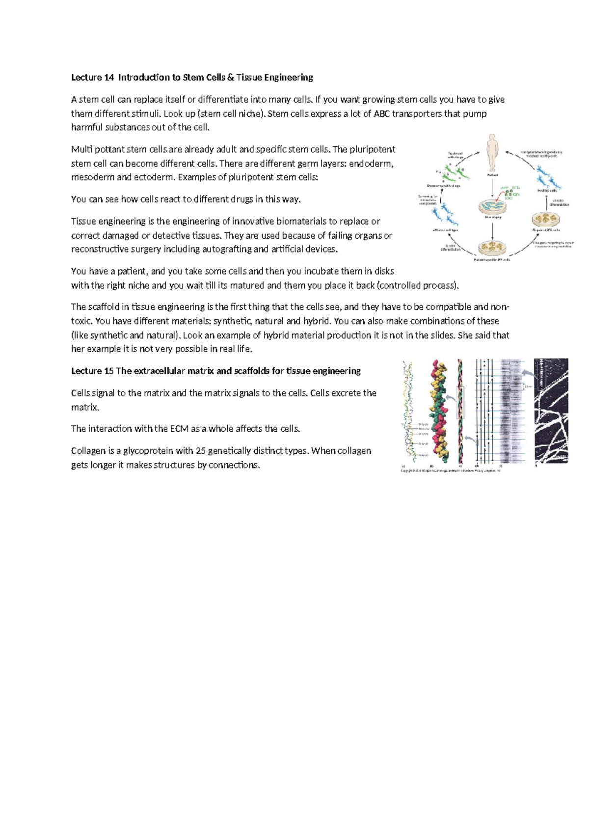 Introduction to Stem Cells - If you want growing stem cells you have to ...