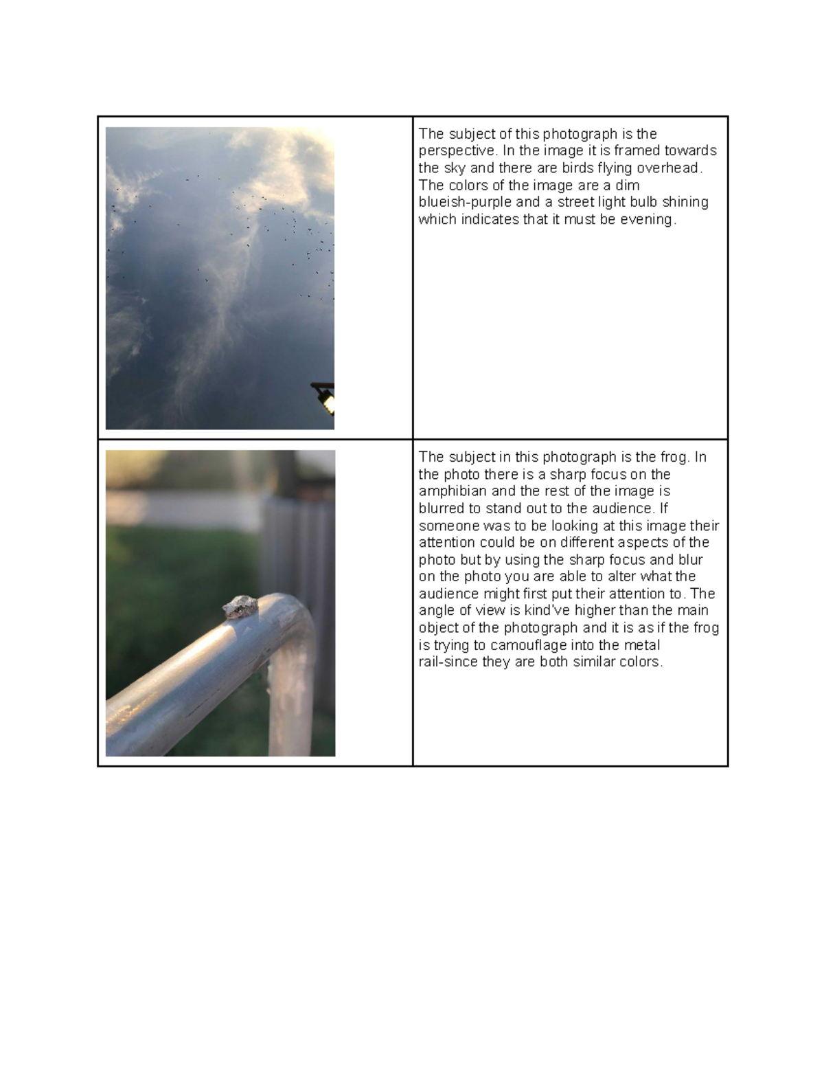 Making Photographs Assignment - The subject of this photograph is the ...