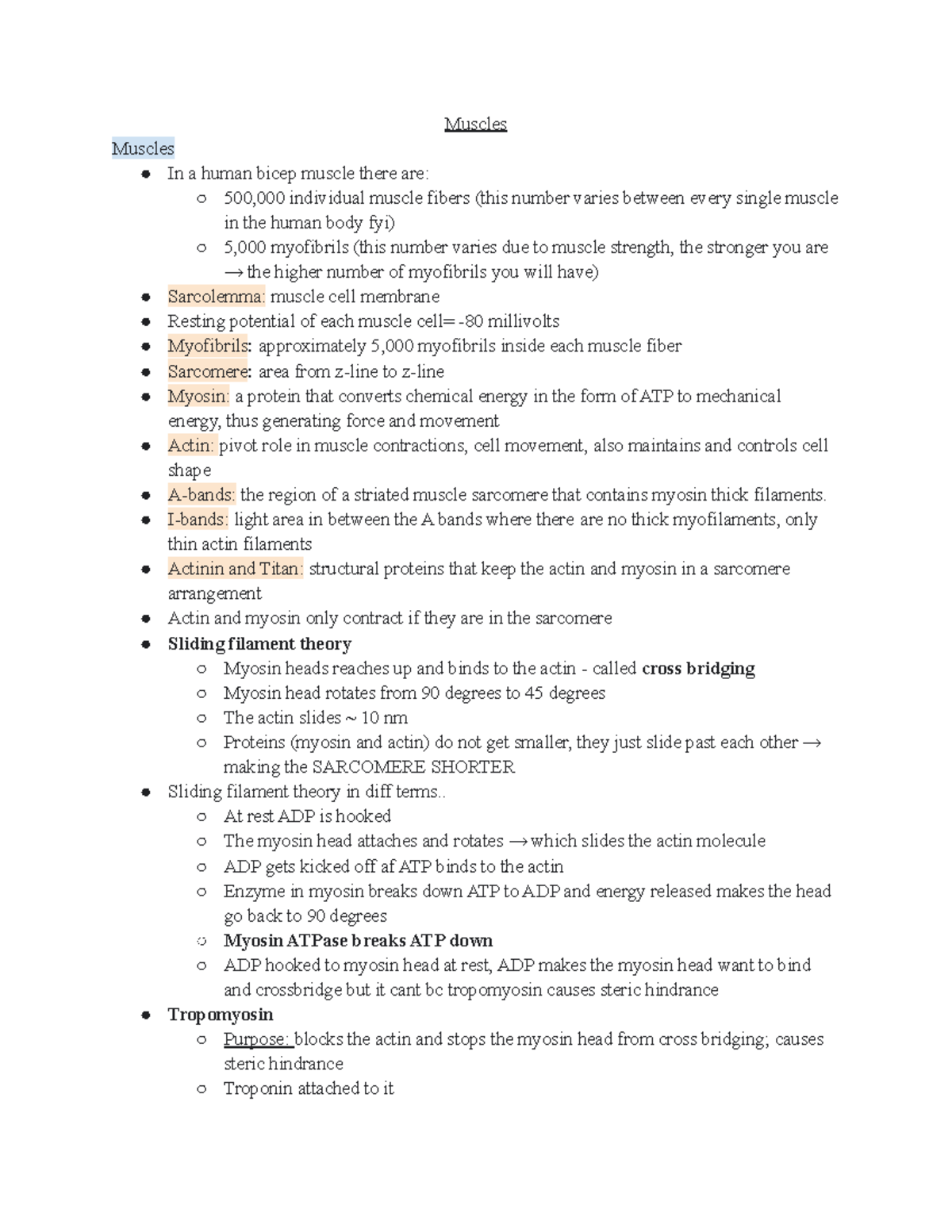 Physiology Unit 1 Lecture Notes Muscles - Muscles Muscles In a human ...