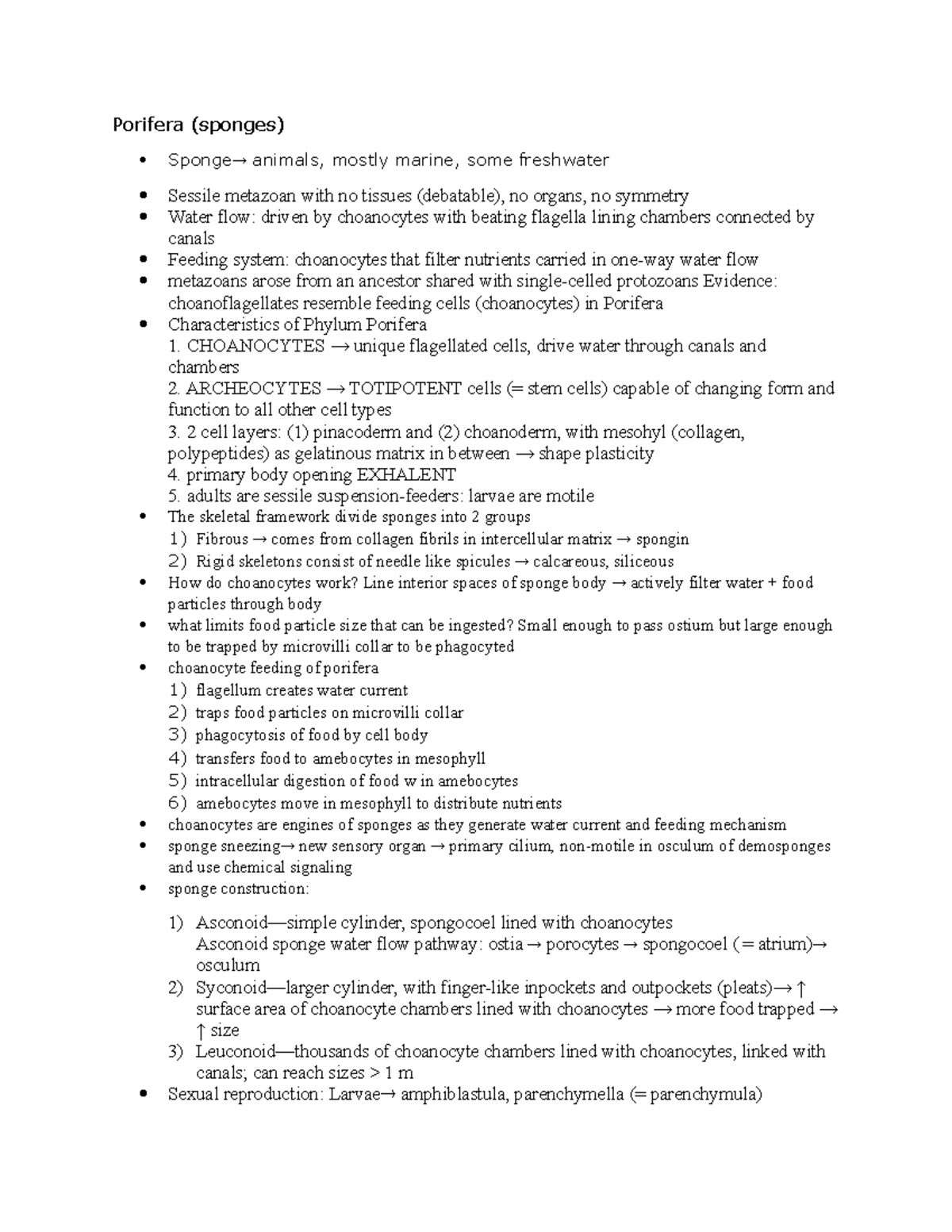 Porifera notes and summary - Porifera (sponges) Sponge animals, mostly ...