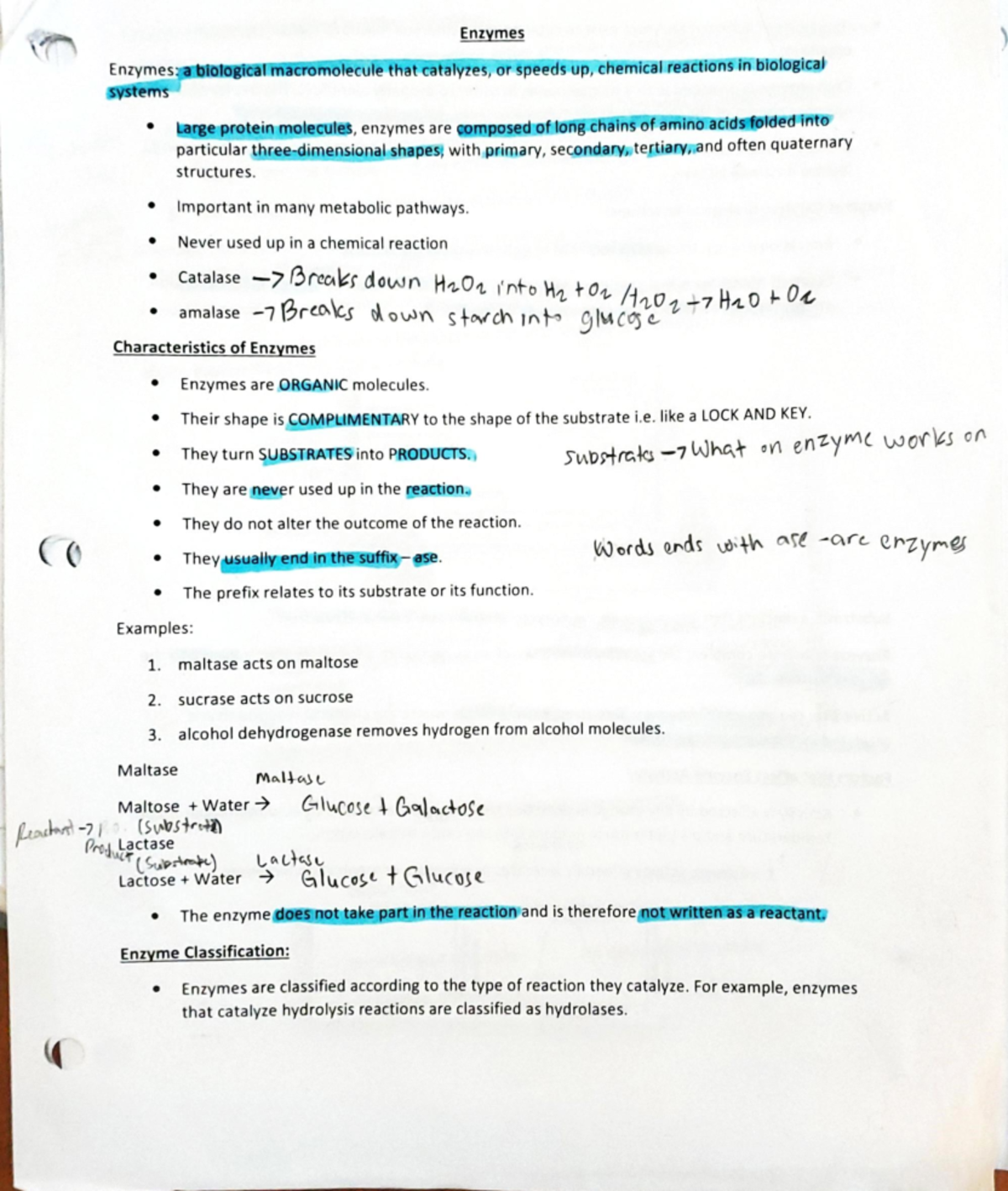 Enzymes - Notes covering mostly enzyme - Enzymes in biological SYStemS ...