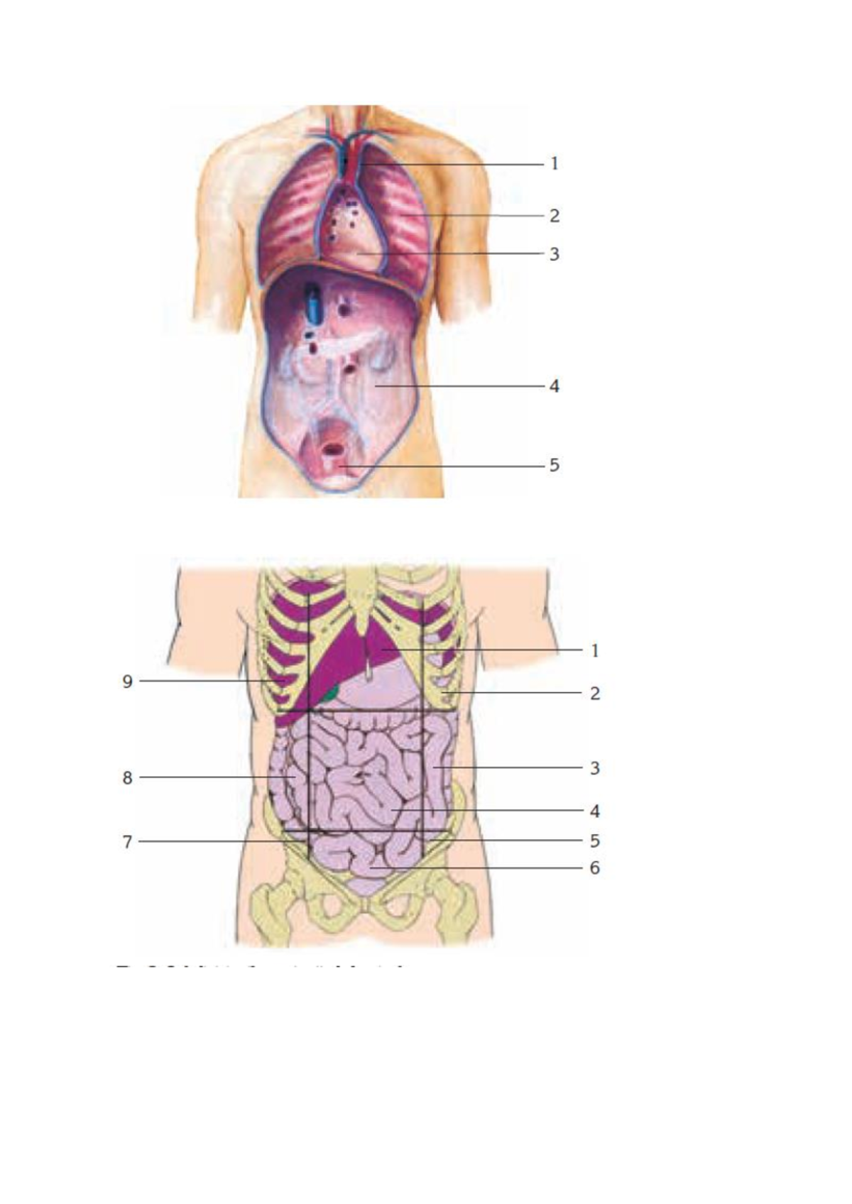 Desene- Corint - adm - 1 2 3 4 5 1 9 2 3 8 4 7 5 6 1 2 3 8 4 7 5 6 9 1 ...