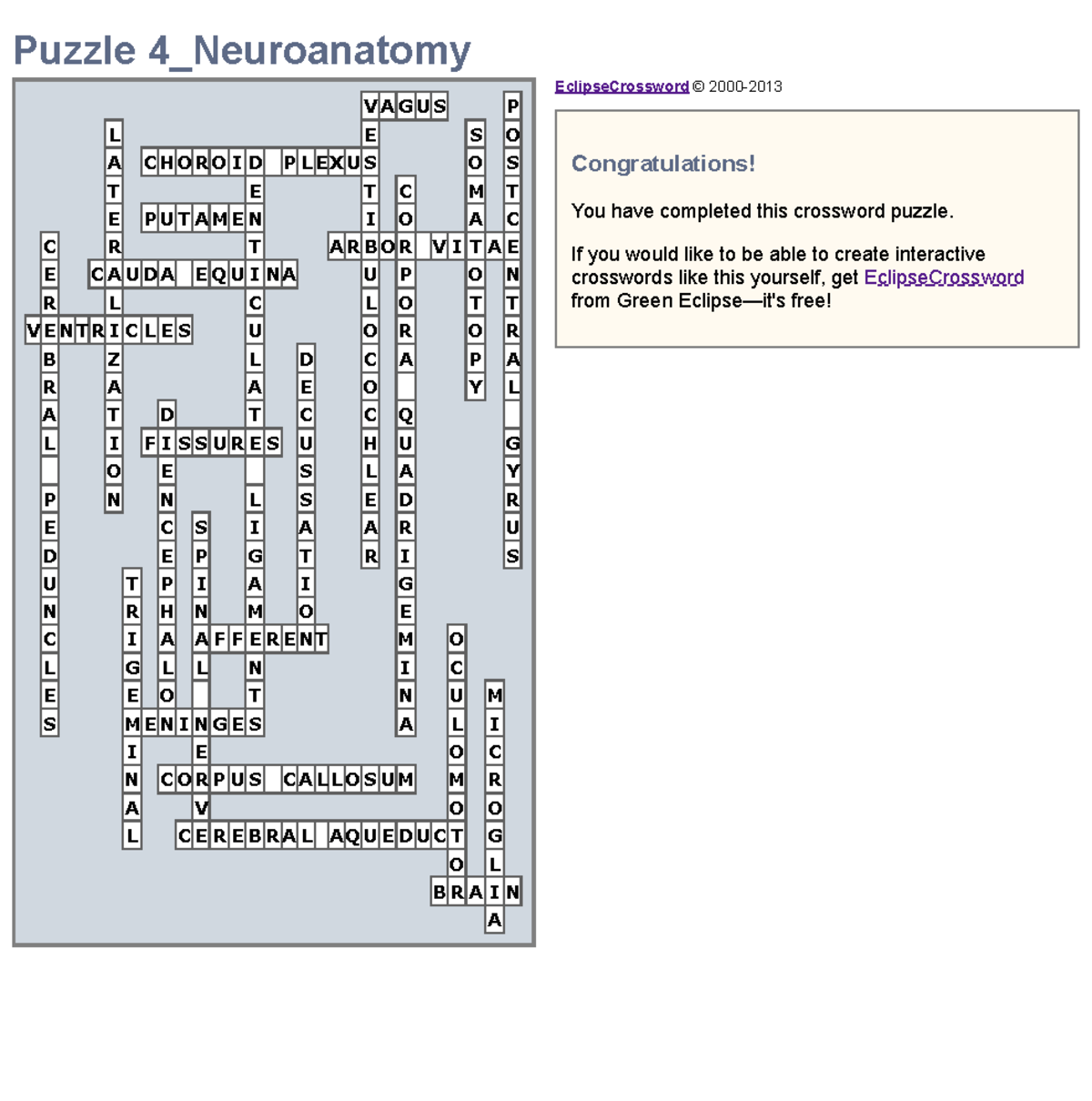 Puzzle 4 - Heather Ling - Puzzle 4_Neuroanatomy VAGUS P L E S O A ...