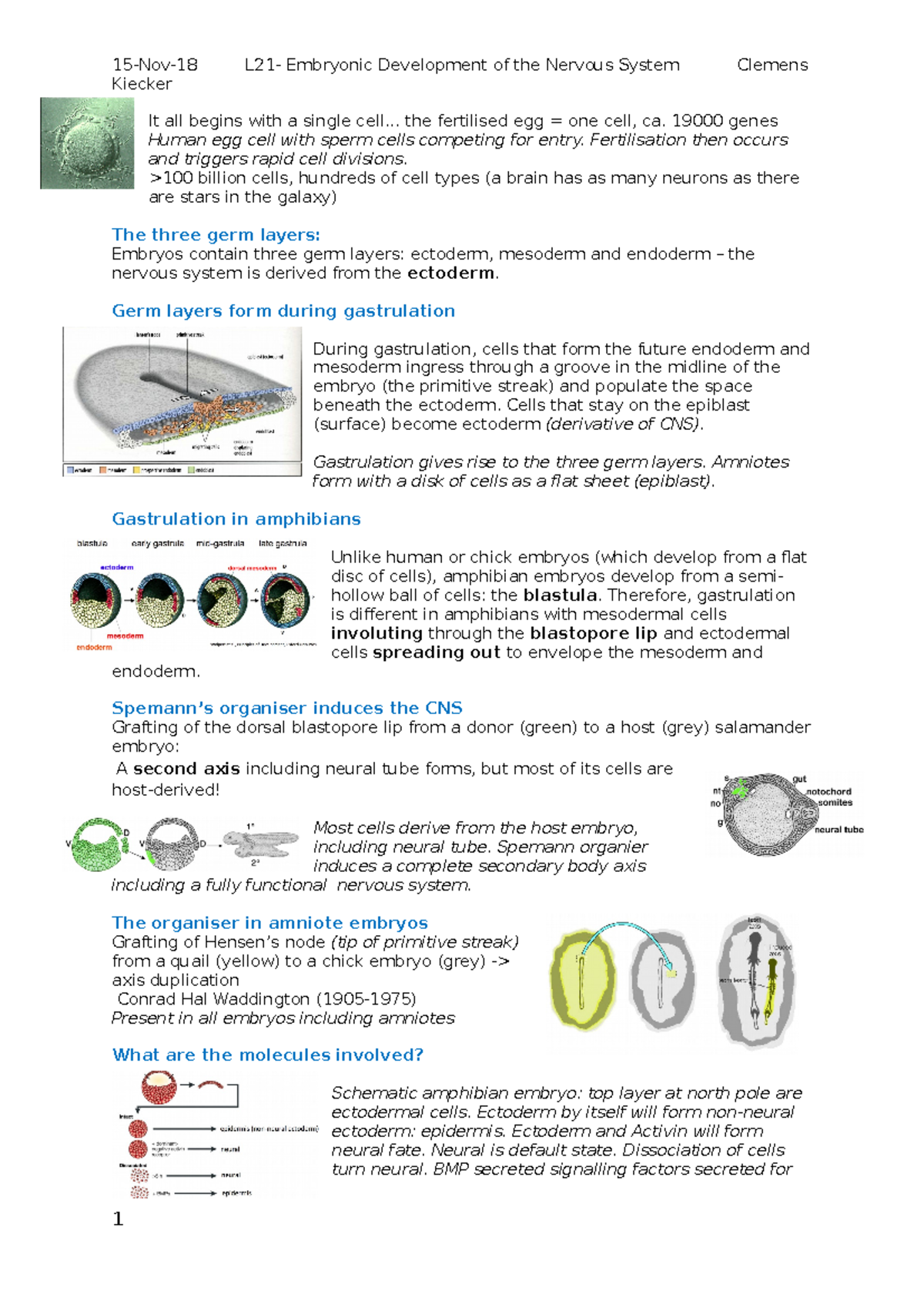 L21- Embryonic Development of the Nervous System - Kiecker Embryonic ...