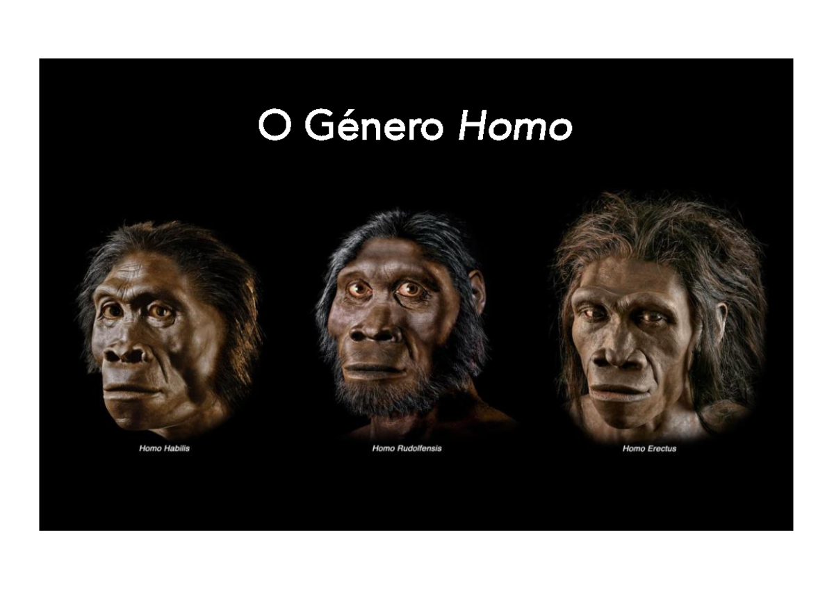 Resumo 09_Género Homo - O Género Homo Durante o Plioceno a temperatura ...