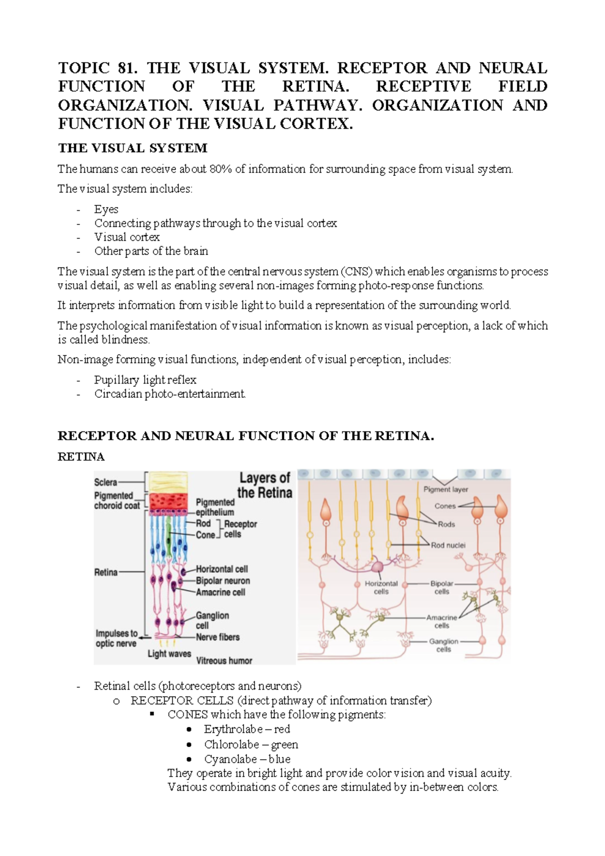 Topic 81. THE Visual System. Receptor AND Neural Function OF THE Retina - TOPIC 81. THE VISUAL ...