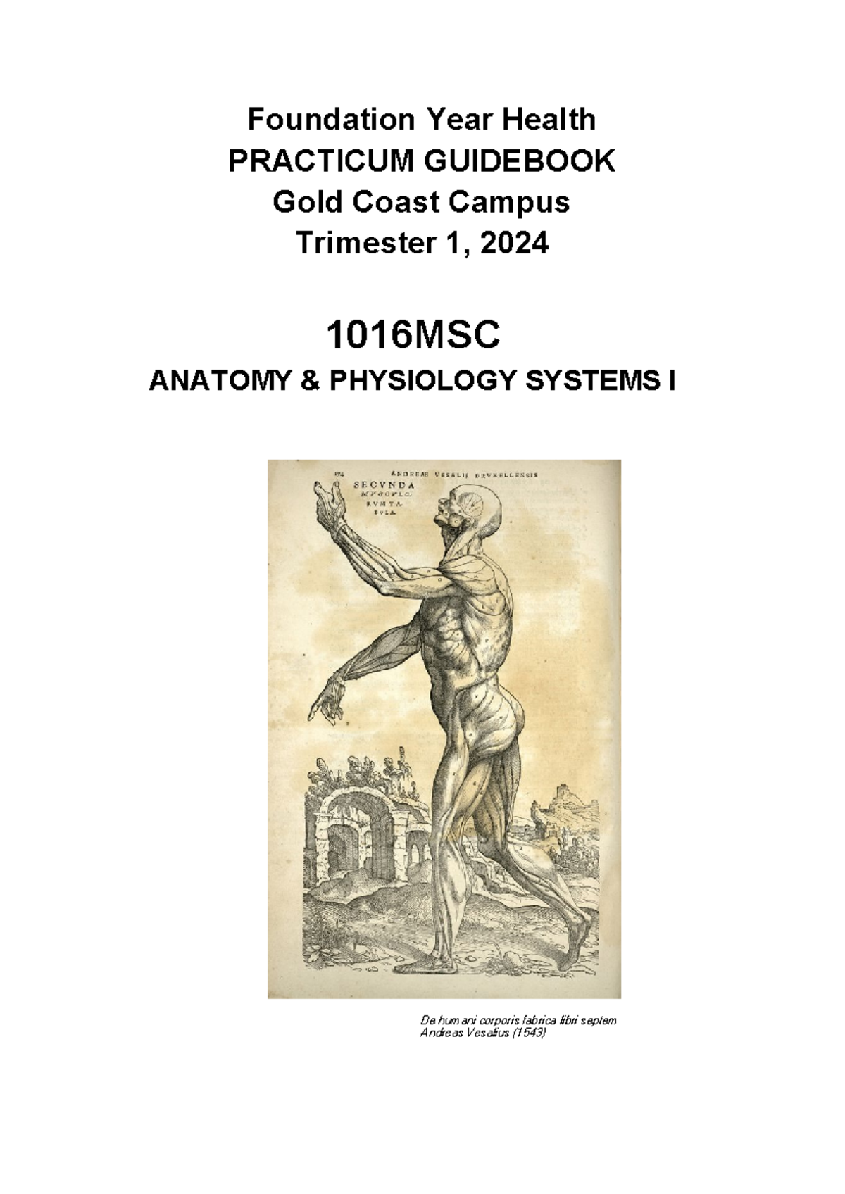 1016MSC Practicum Guide T1 2024 uploaded-1 - Foundation Year Health ...