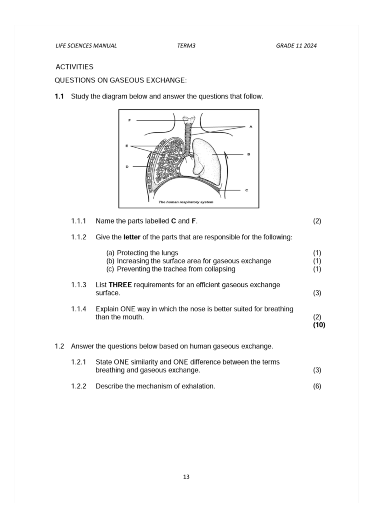 Gaseous exchange - Classwork - LIFE SCIENCES MANUAL TERM3 GRADE 11 2024 ...