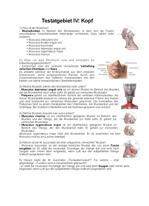 Anatomie kopf vorlesung 2 - Gl. Parotidea Beindet sich in der Fossa ...