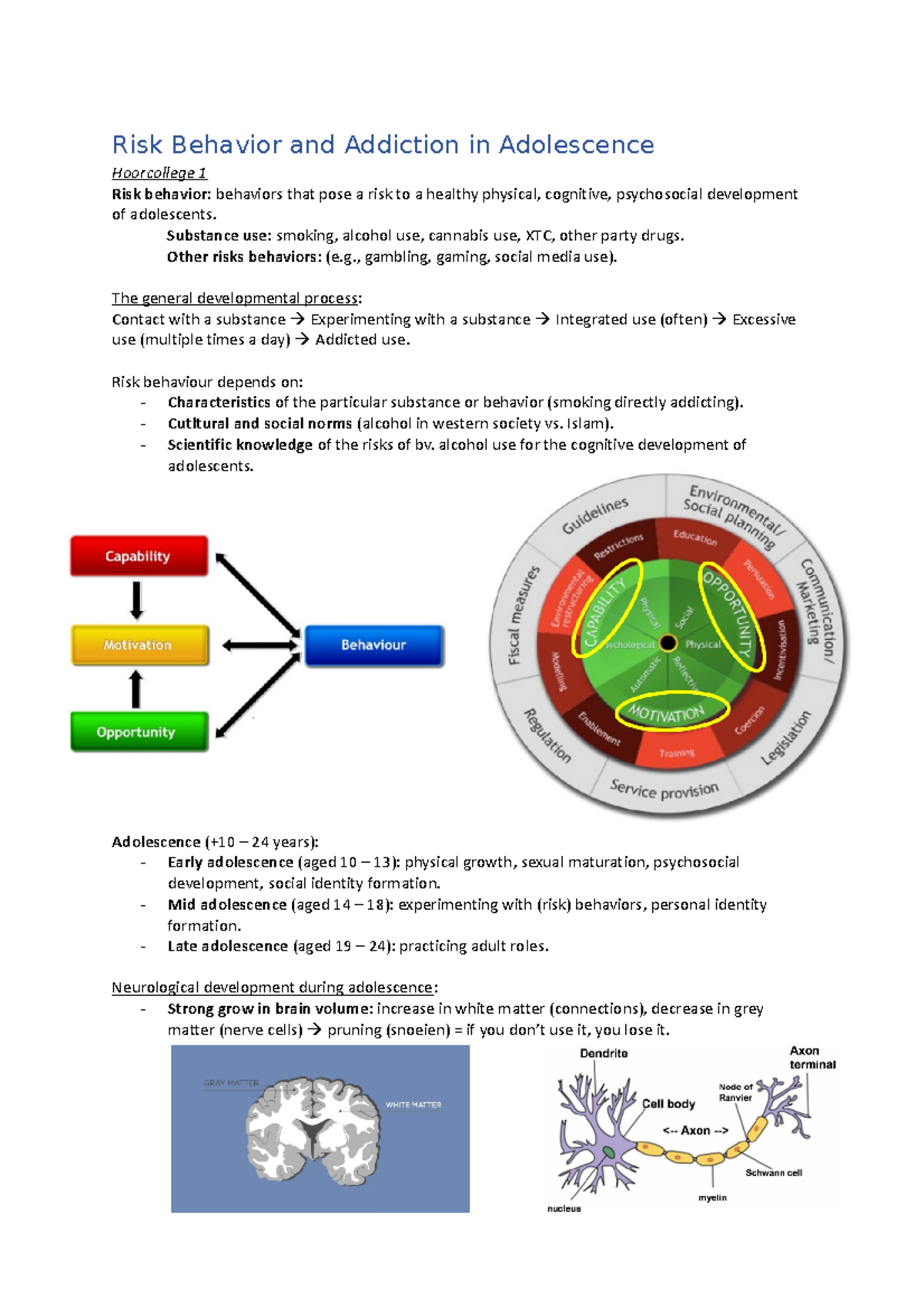 Notes Risk Behavior UU jaar 2 - Risk Behavior and Addiction in ...