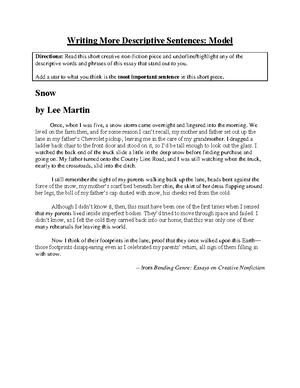 Detailed Writing Analysis - Writing More Descriptive Sentences: Model ...