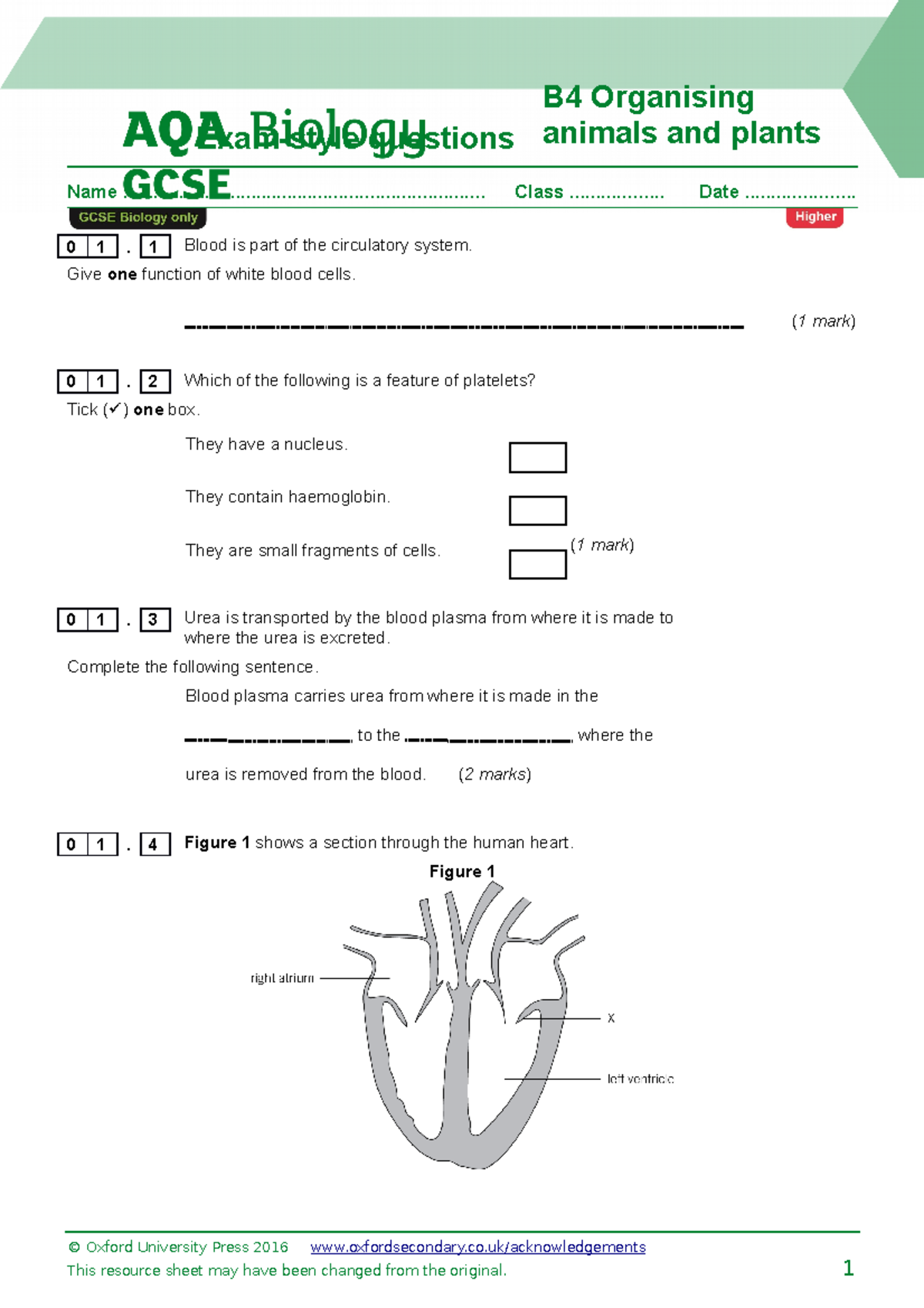 Organising Animals And Plants Test Exam style Questions Name Studocu