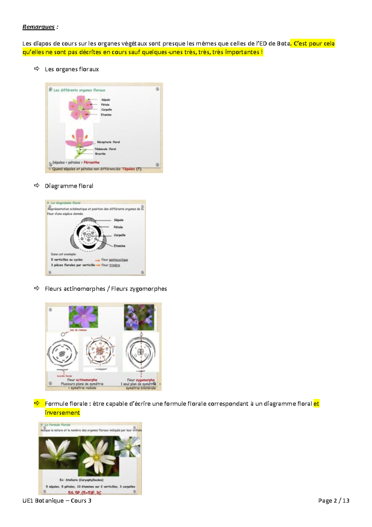 Ue1 B Cours 3 Warning Tt Undefined Function 22 Warning Tt Undefined Function 22