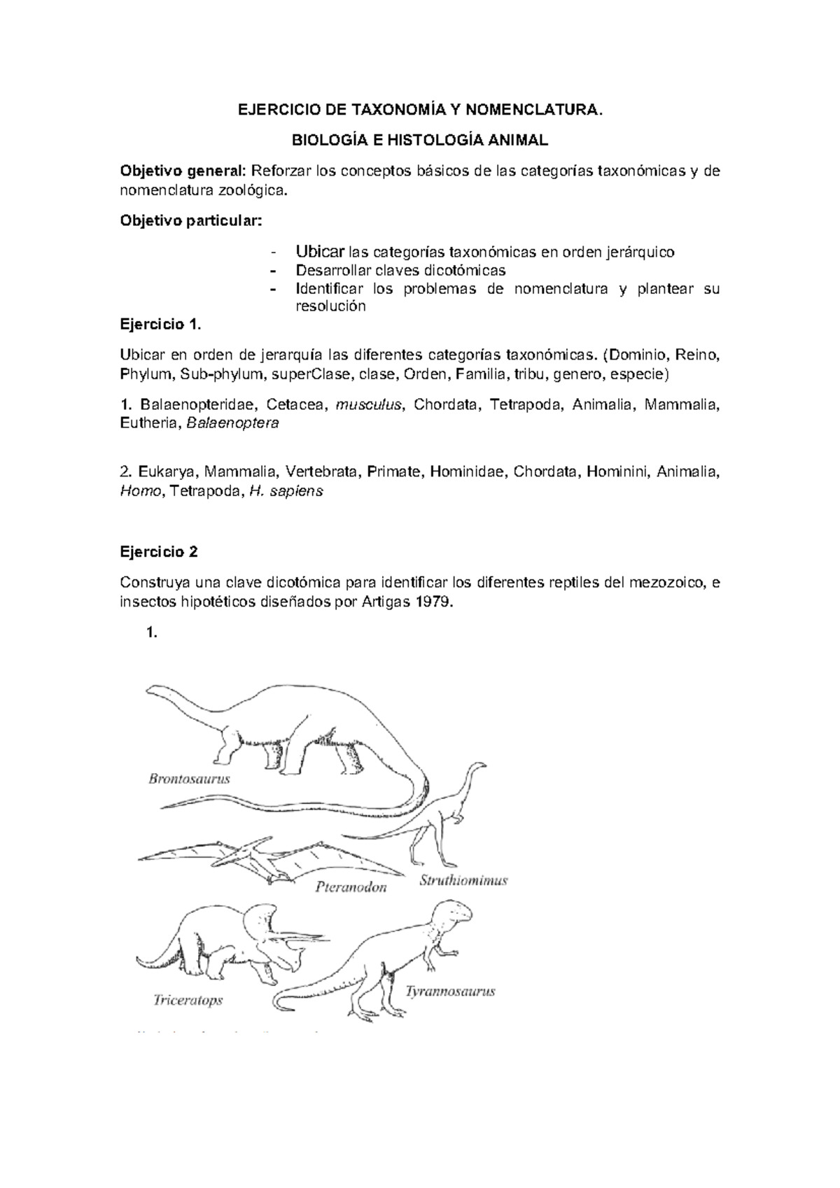 Ejercicio Taxonomía - EJERCICIO DE TAXONOMÍA Y NOMENCLATURA. BIOLOGÍA E ...