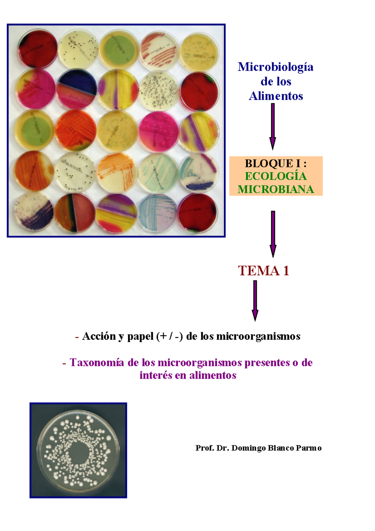 Microbiologia alimentaria tema 1A - Microbiología - Unizar - Studocu