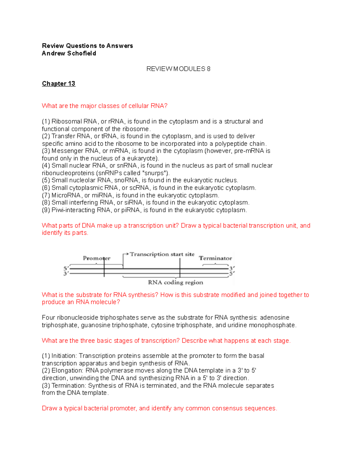 Review Questions to Answers M8 - Review Questions to Answers Andrew ...