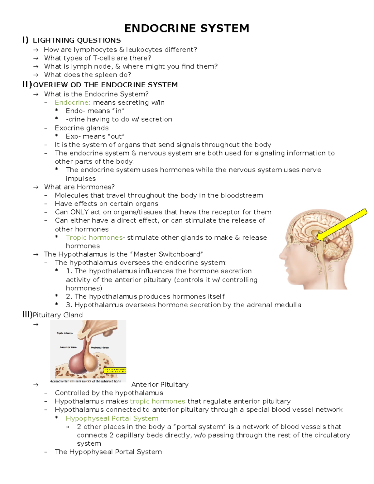 Endocrine - notes - ENDOCRINE SYSTEM I) LIGHTNING QUESTIONS → How are ...
