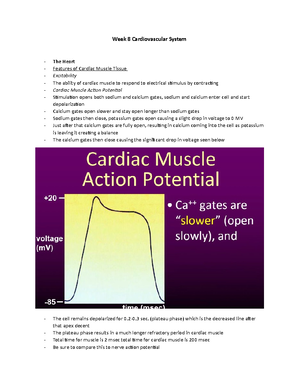 Endocrine System Hormone Case Study Analysis - Studocu