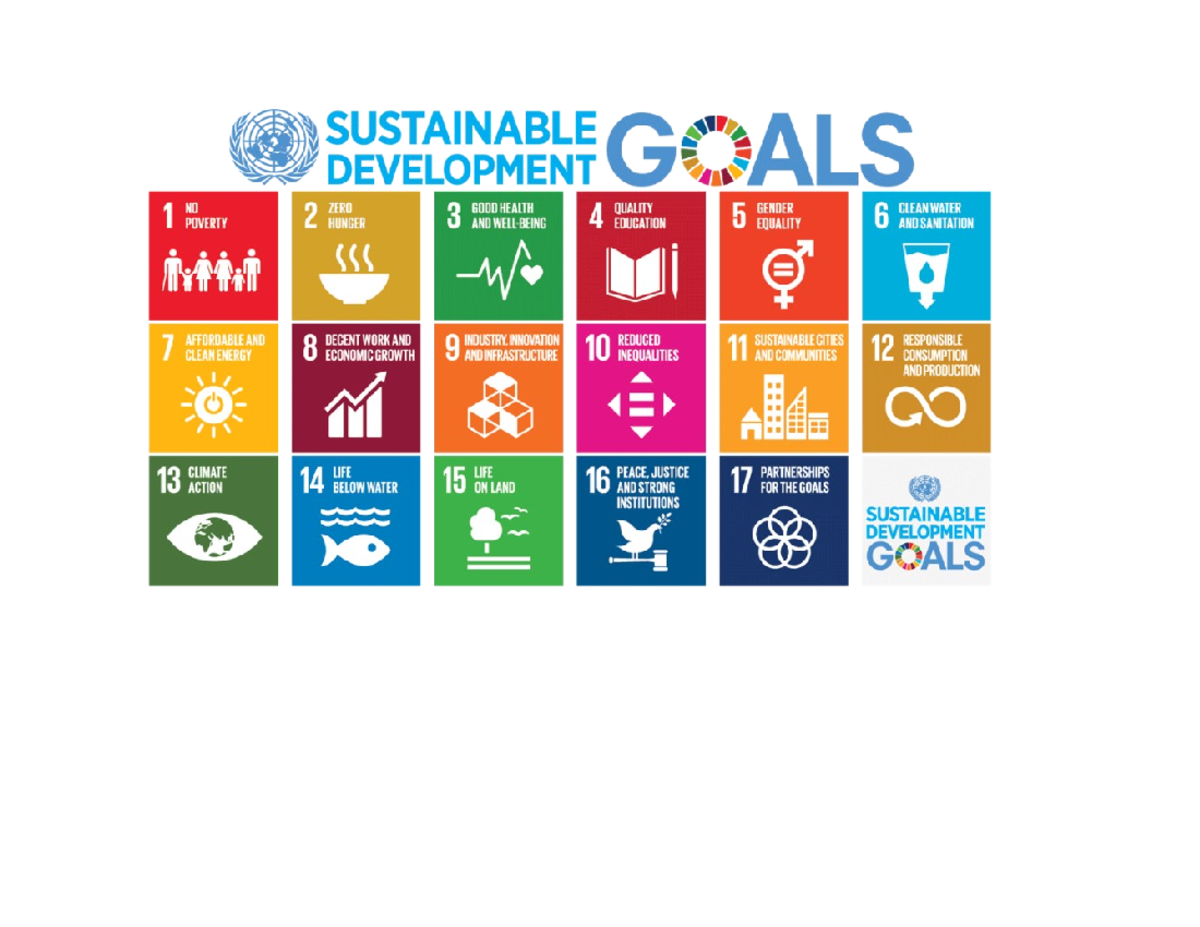 Sustainable Development Goals Logos' - SUSTAINABLE DEVELOPMENT AL S 1 ...