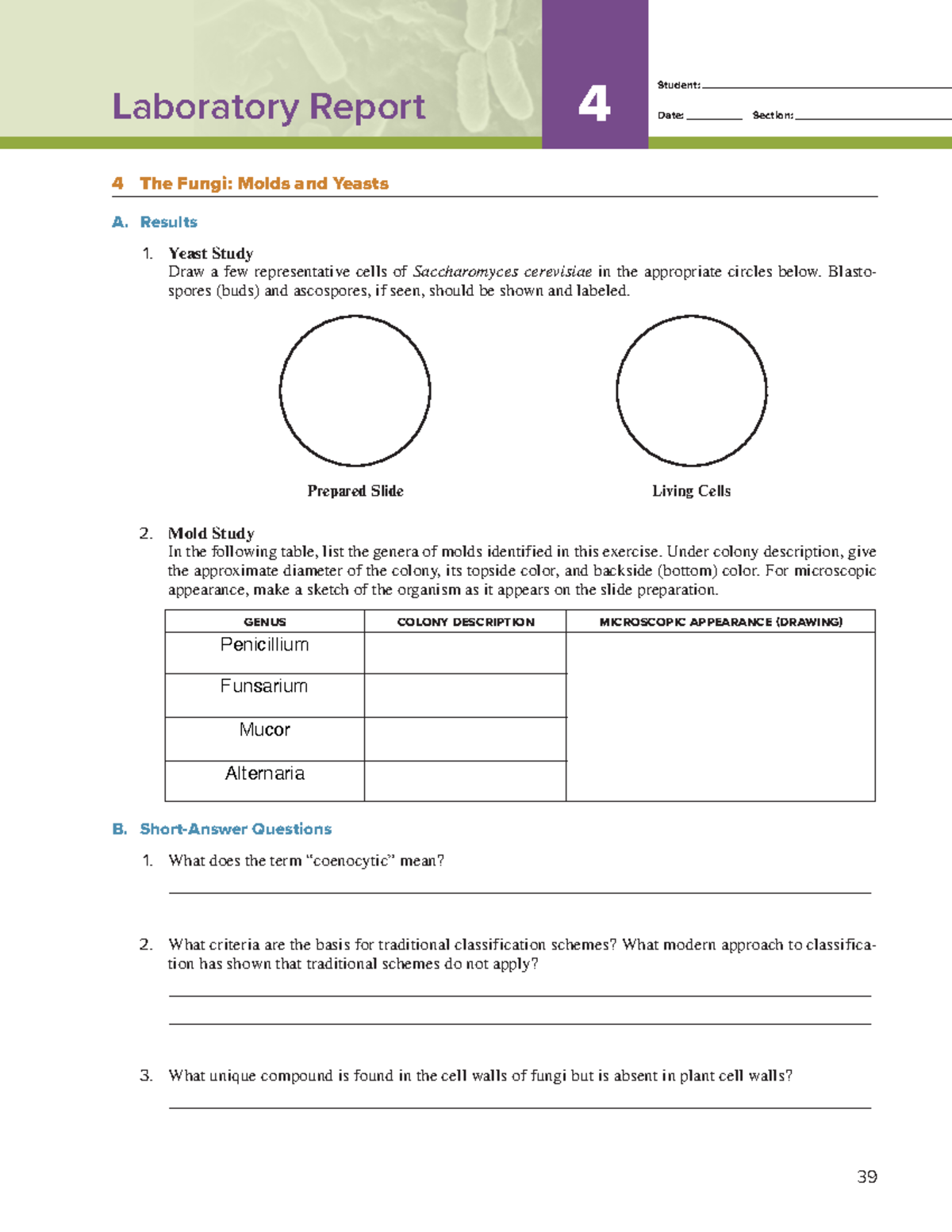 Exercise 04 Lab Report Revised 4 9-10 - Student: Date: Section: 39 ...