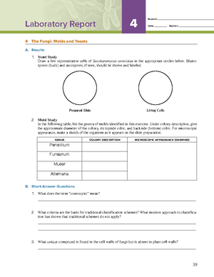 Exercise 03 Lab Report Gnz - Student: Date: Section: 29 Laboratory ...